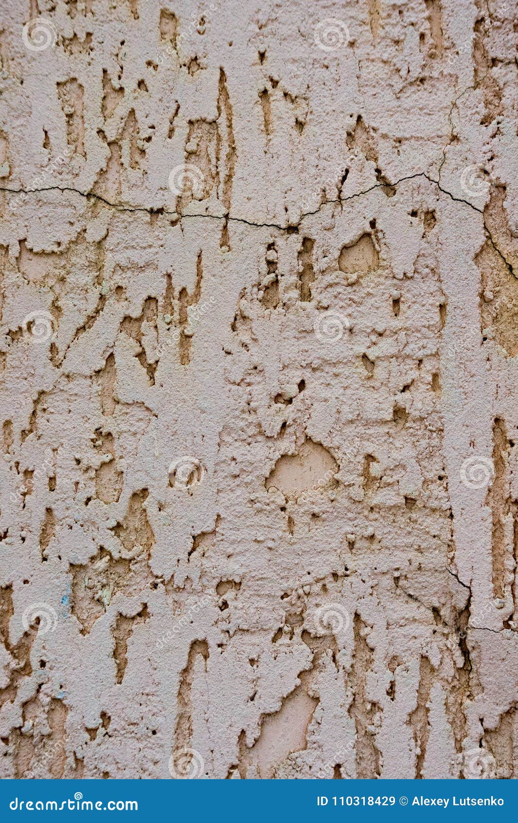Texture of the Decorative Stucco Wall As a Background. Bark Beet Stock ...