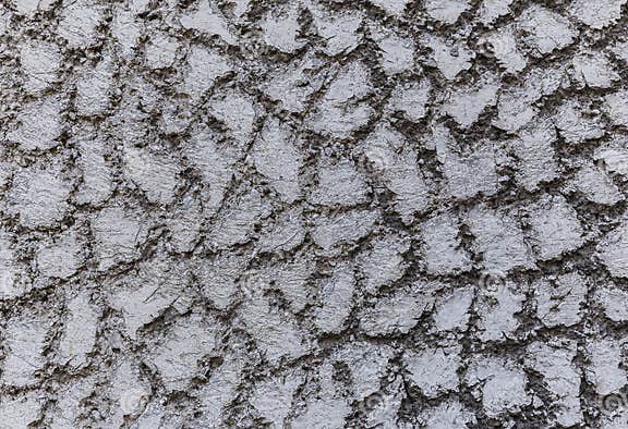 The Texture of the Decorative Wall Putty Stock Image - Image of ...