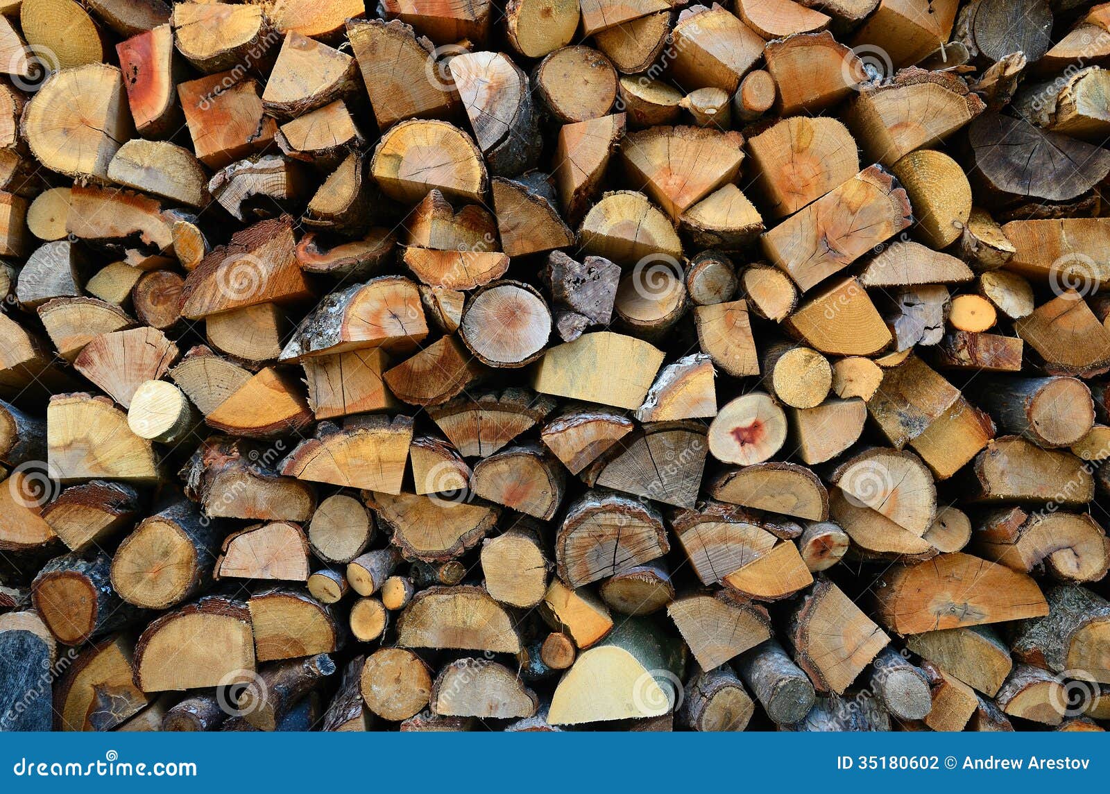 Texture Des Rondins En Bois Photo stock - Image du fermer, cercles ...