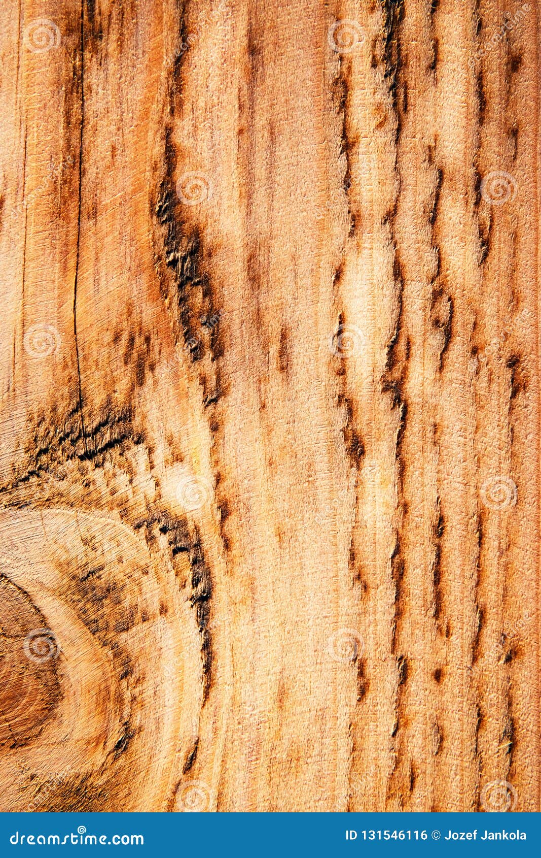 Old Sanded Wood Texture Background Stock Image | CartoonDealer.com ...