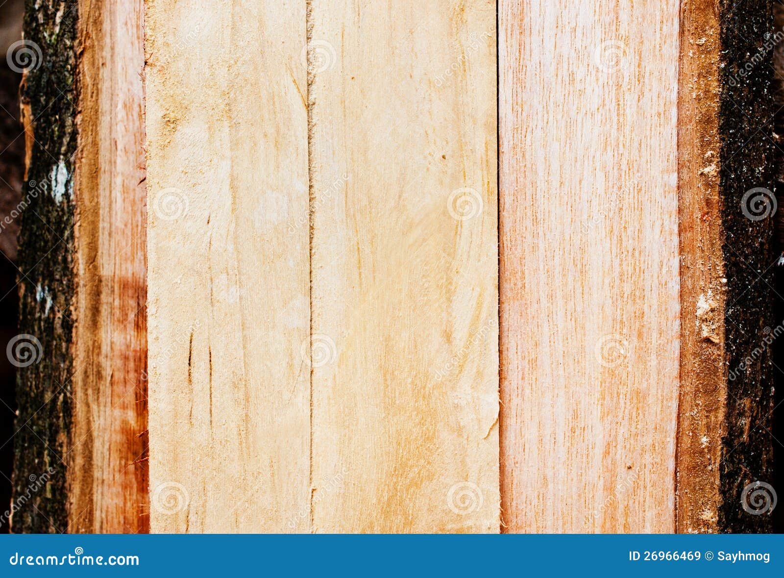 Texture Detail of Wood Plate Stock Image - Image of closeup, macro ...