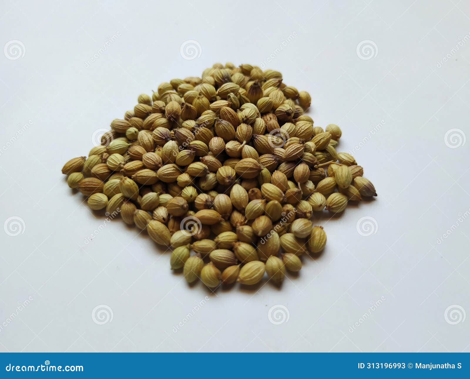 Texture of Dhaniya Seeds. Heap of a Coriander or Dhania Seeds Isolated ...