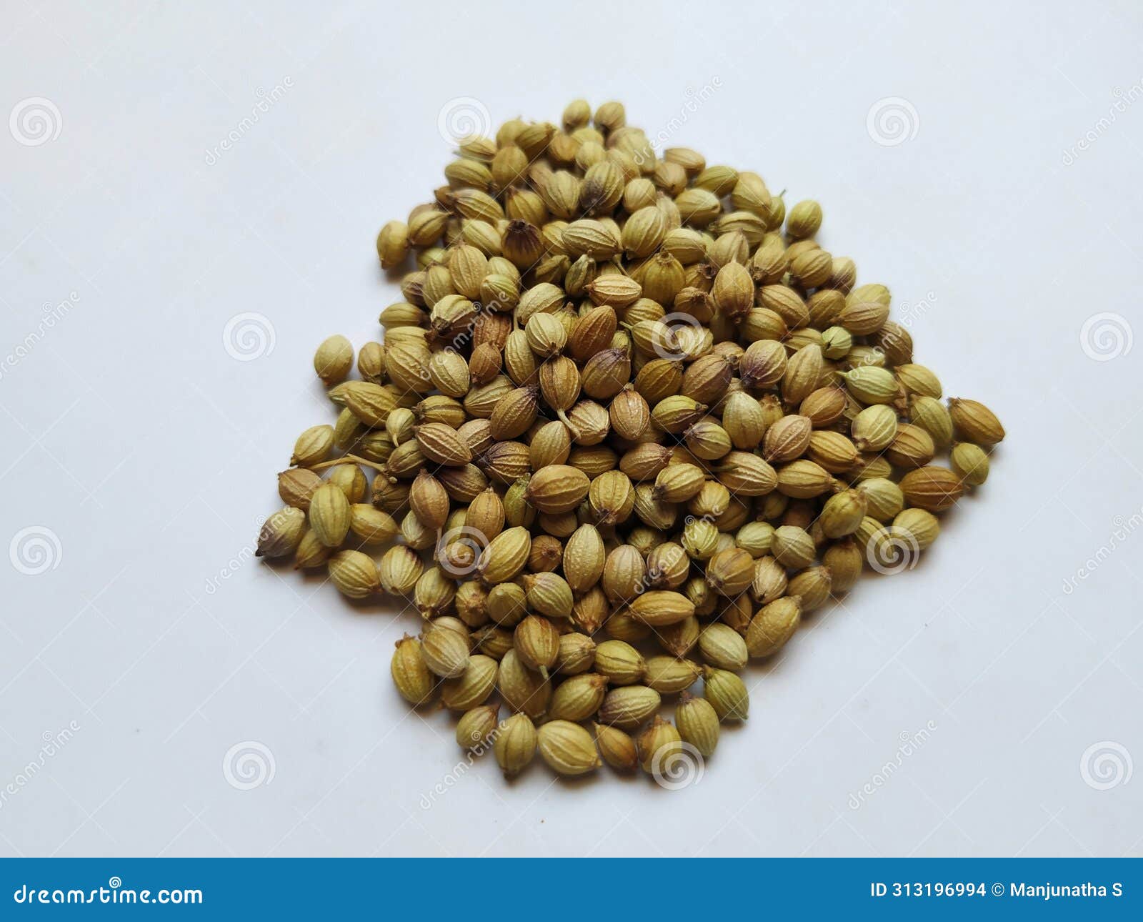 Texture of Dhaniya Seeds. Heap of a Coriander or Dhania Seeds Isolated ...