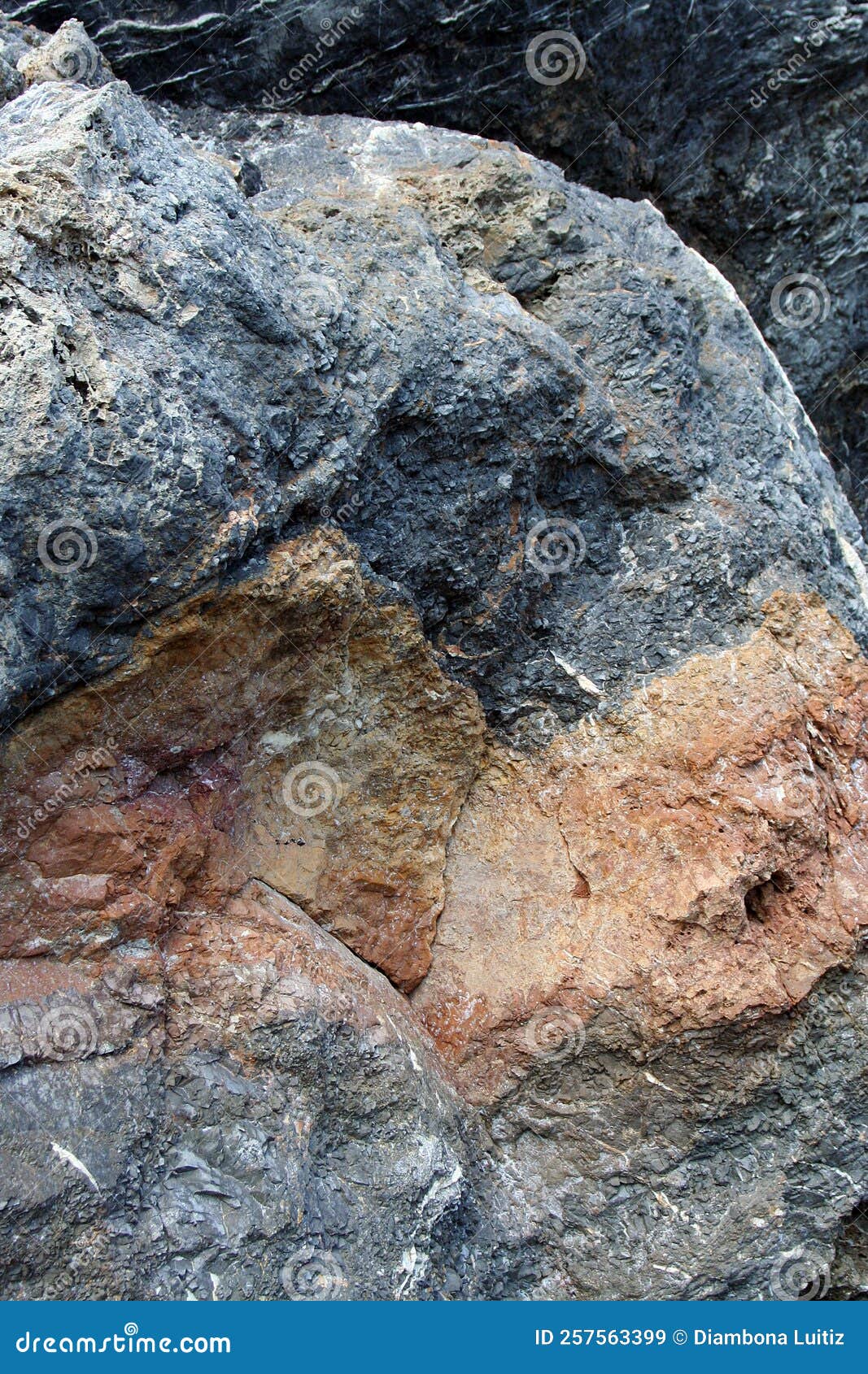 Texture di roccia stock image. Image of vari, trunk - 257563399