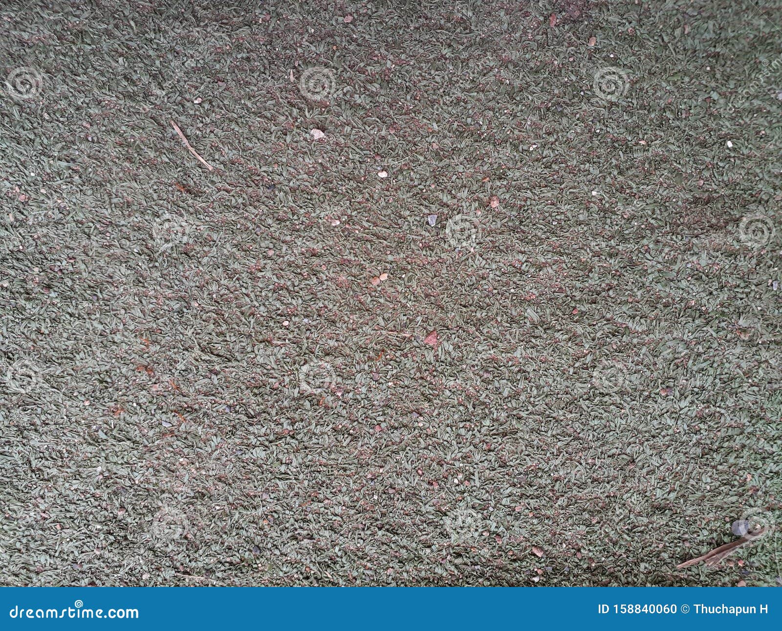 Texture stock photo. Image of dirty, carpet, texture - 158840060