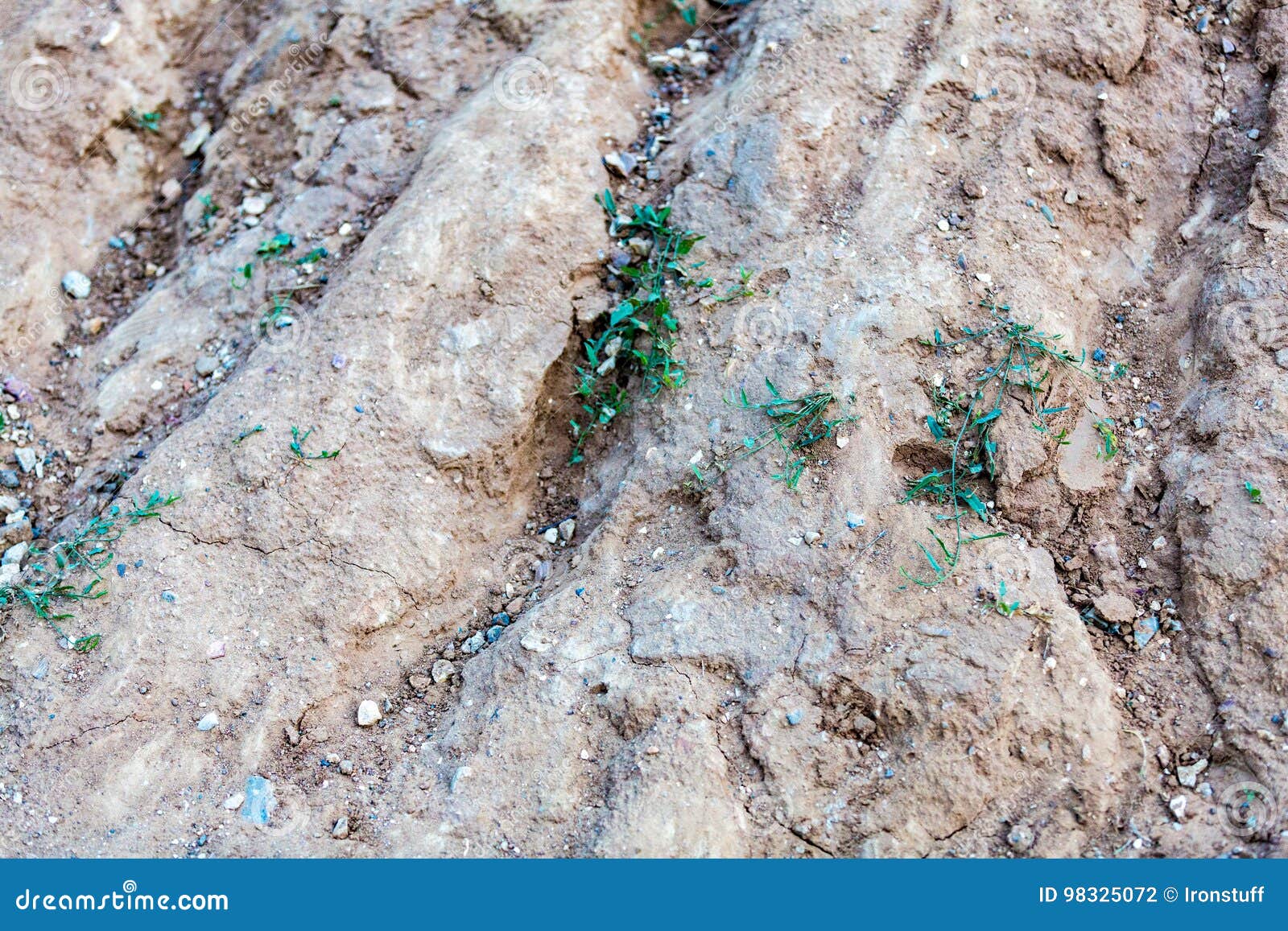 Texture of dirty ground stock photo. Image of nature - 98325072