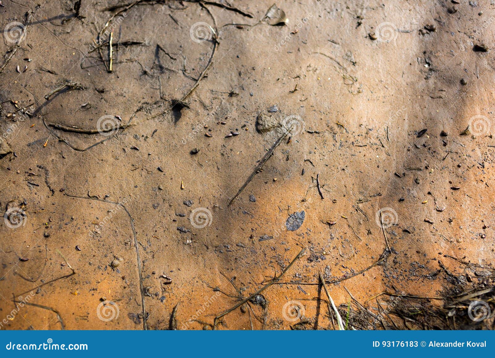 Texture dirty sand stock image. Image of summer, nature - 93176183