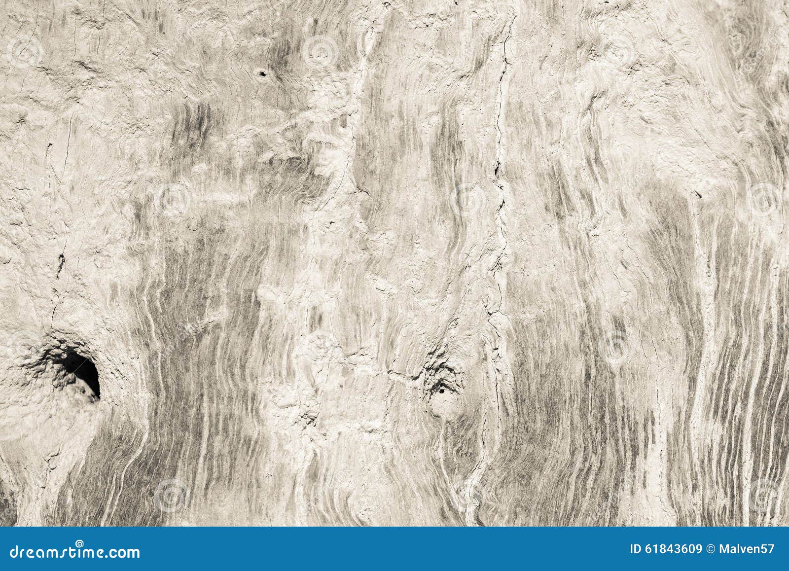 Texture of a Dirty Surface an Old Tree Stock Image - Image of dirty ...