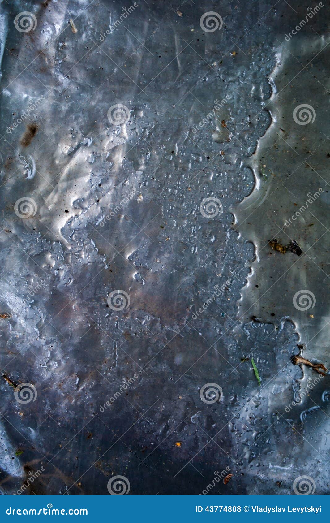 Texture with Dirty Water stock photo. Image of fetid - 43774808