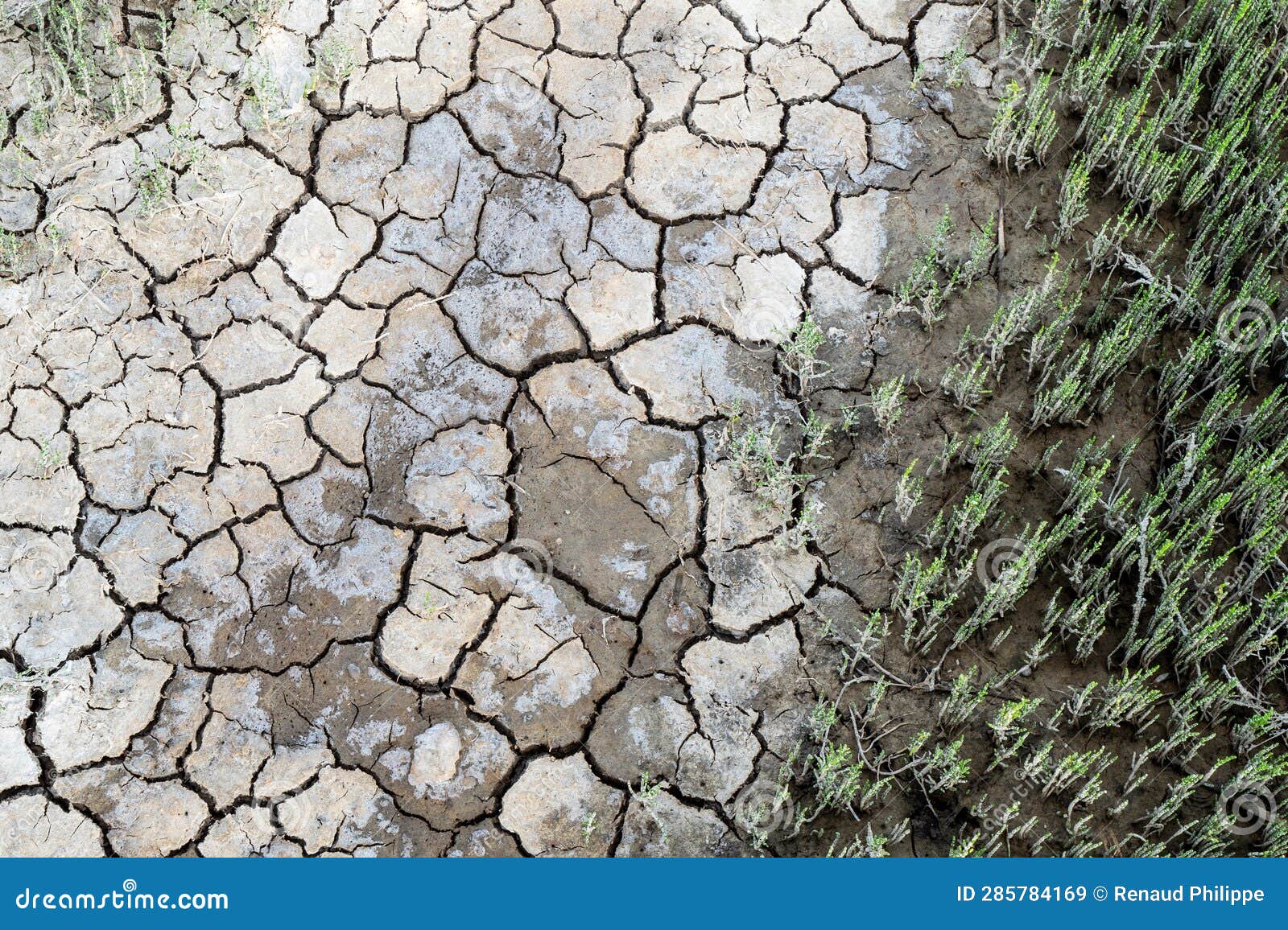Texture of the Dried Earth with Clay and Sand, Close-up Stock Image ...
