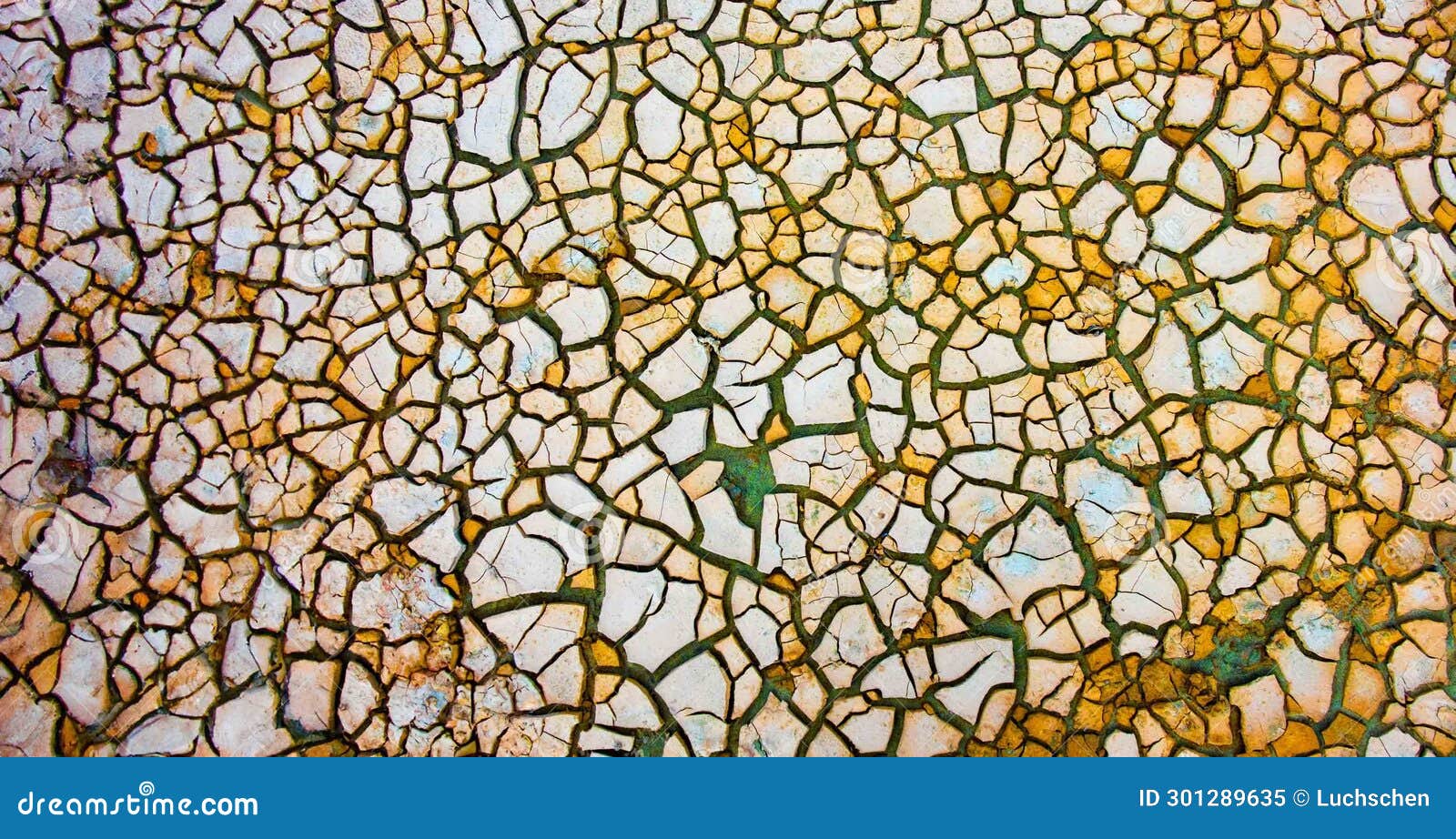 Texture of the Dried Lake Bottom Concept of Global Climate Change Stock ...