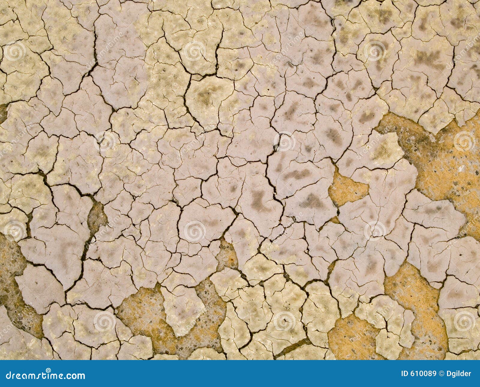 Texture of dried mud stock image. Image of earth, muddy - 610089
