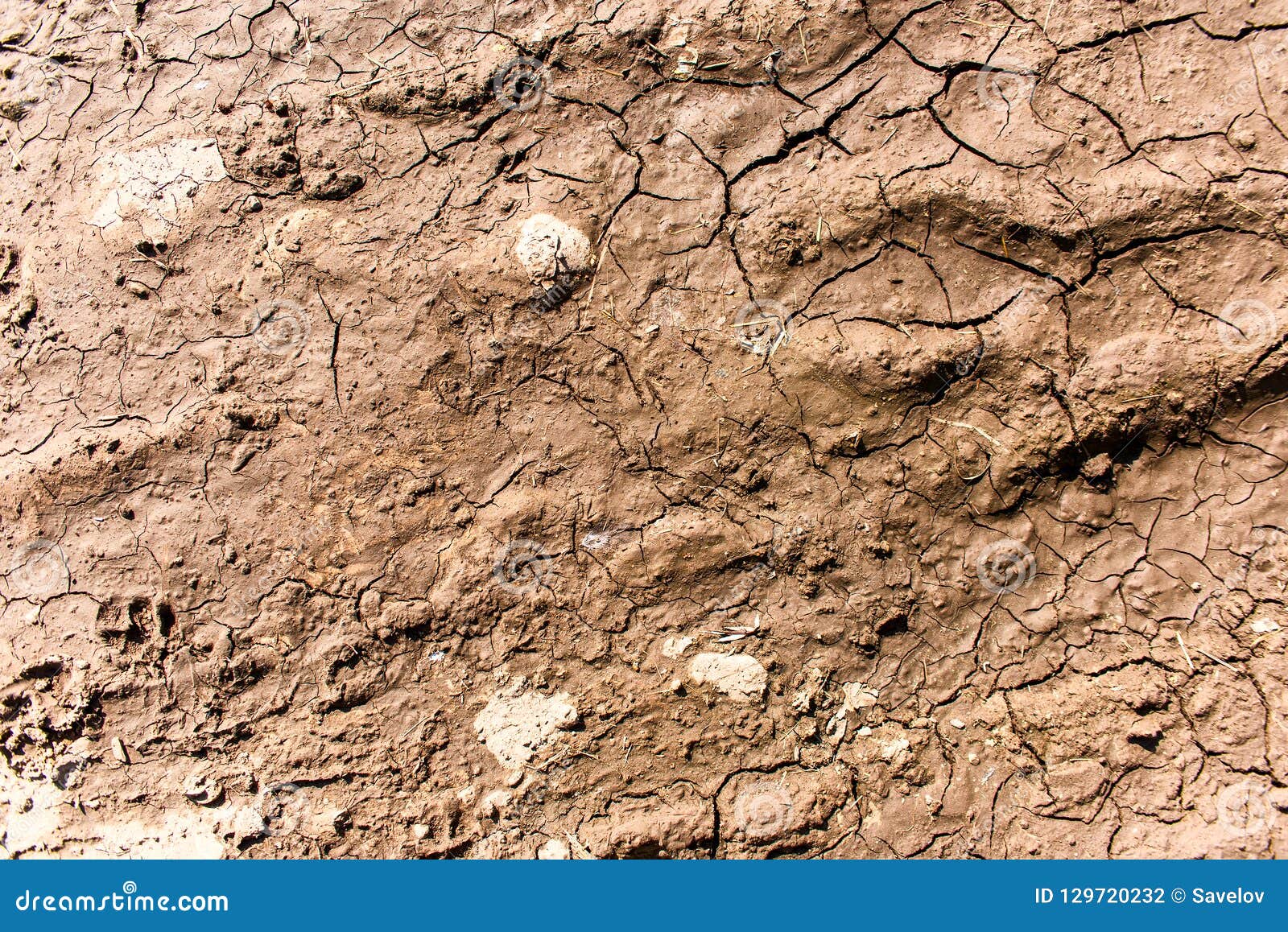 Texture of Dried Mud on Top Stock Photo - Image of earth, broken: 129720232