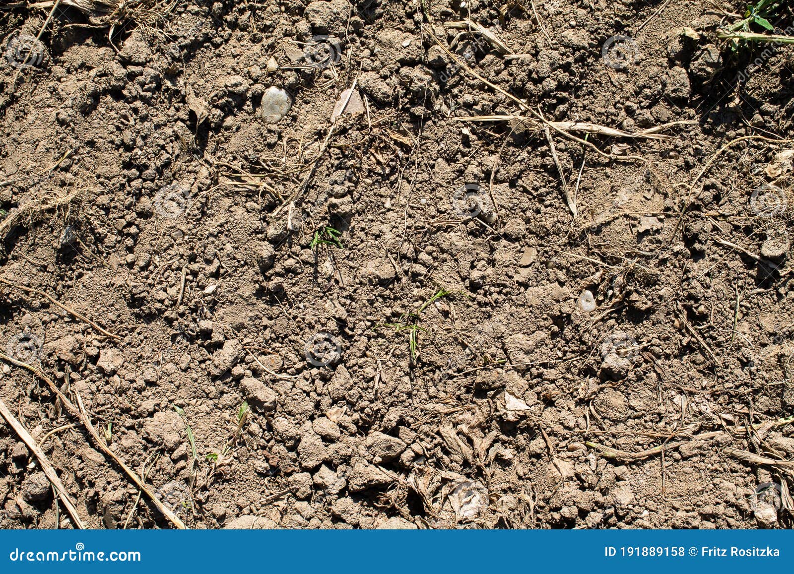Texture farmland stock photo. Image of farm, field, ground - 191889158