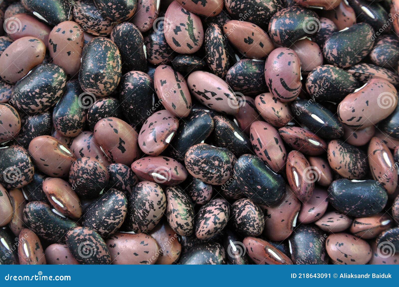 Texture of Dry Beans Seeds. Pinto Beans Stock Image - Image of diet ...