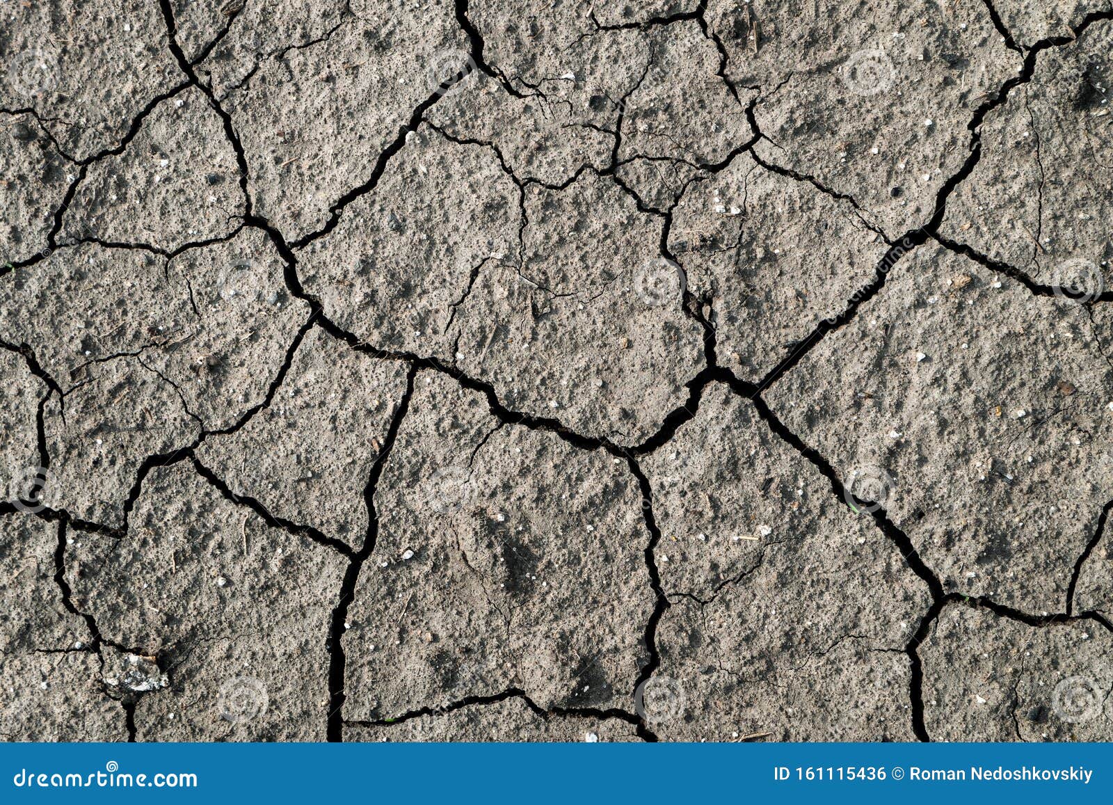 Texture of Dry Cracked Soil. Damaged Ground Stock Photo - Image of ...