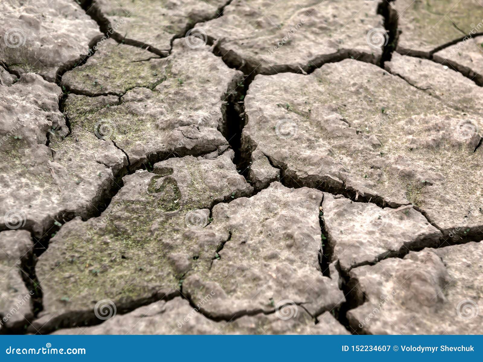 Texture of cracked soil stock image. Image of dirt, land - 152234607