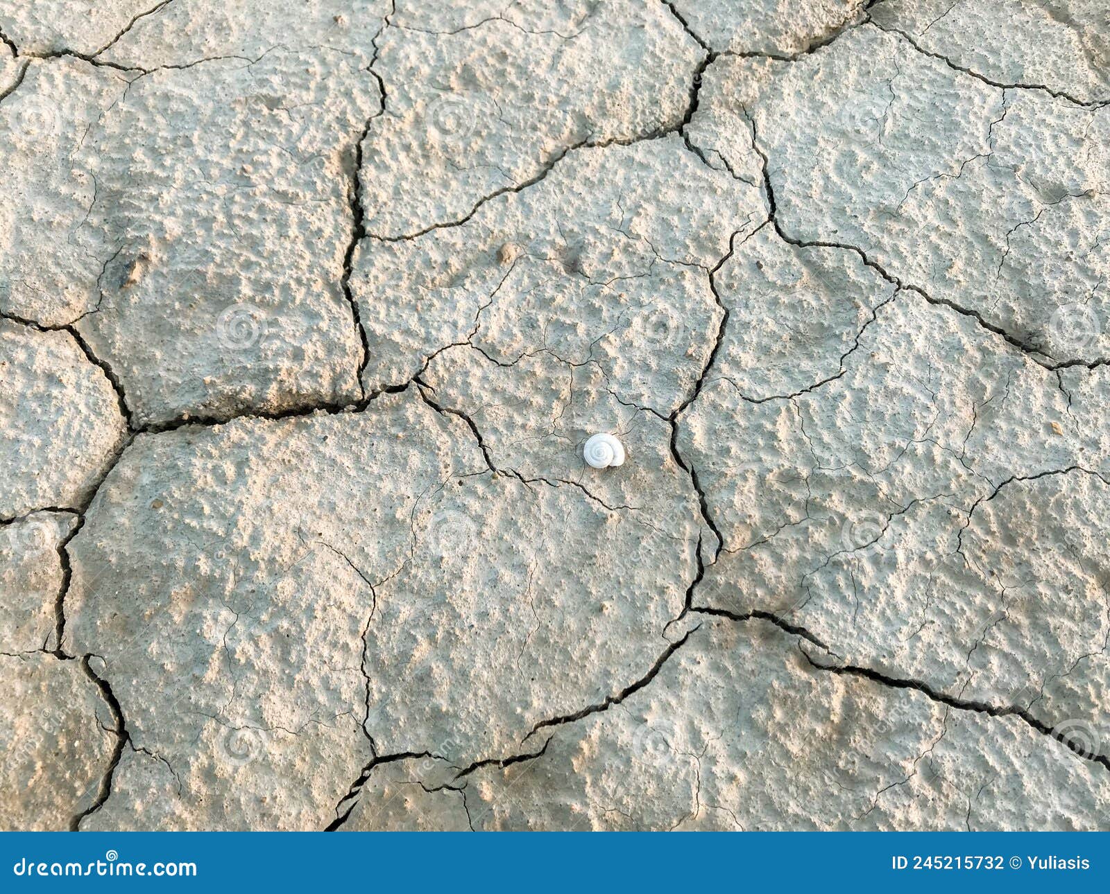 The Texture of a Dry Cracked Surface of a Dried Riverbed with a Small ...