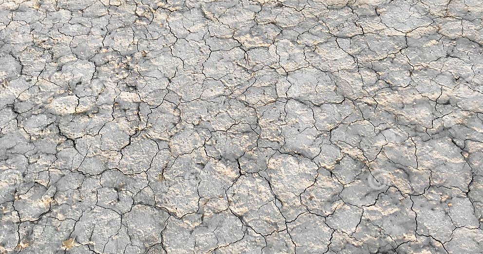 The Texture of a Dry Cracked Surface of a Dried Riverbed with a Small ...