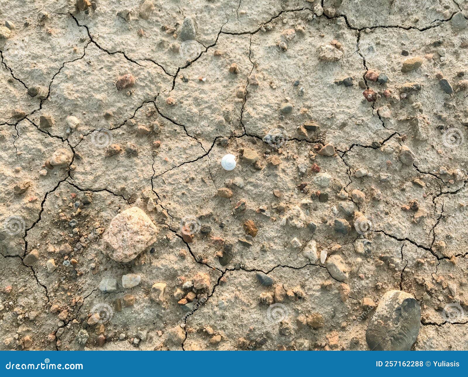 The Texture of a Dry Cracked Surface of a Dried Riverbed with a Small ...