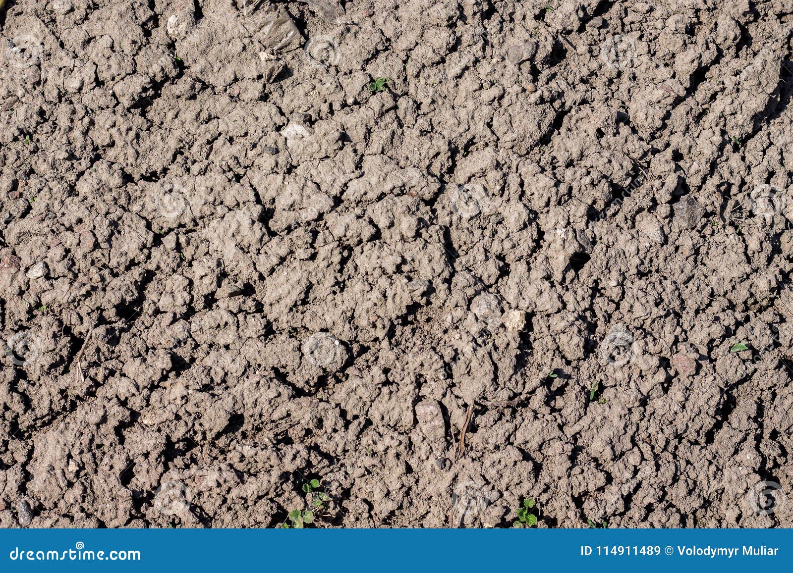 Texture from Dry Earth. Dry Land during Drought_ Stock Image - Image of ...
