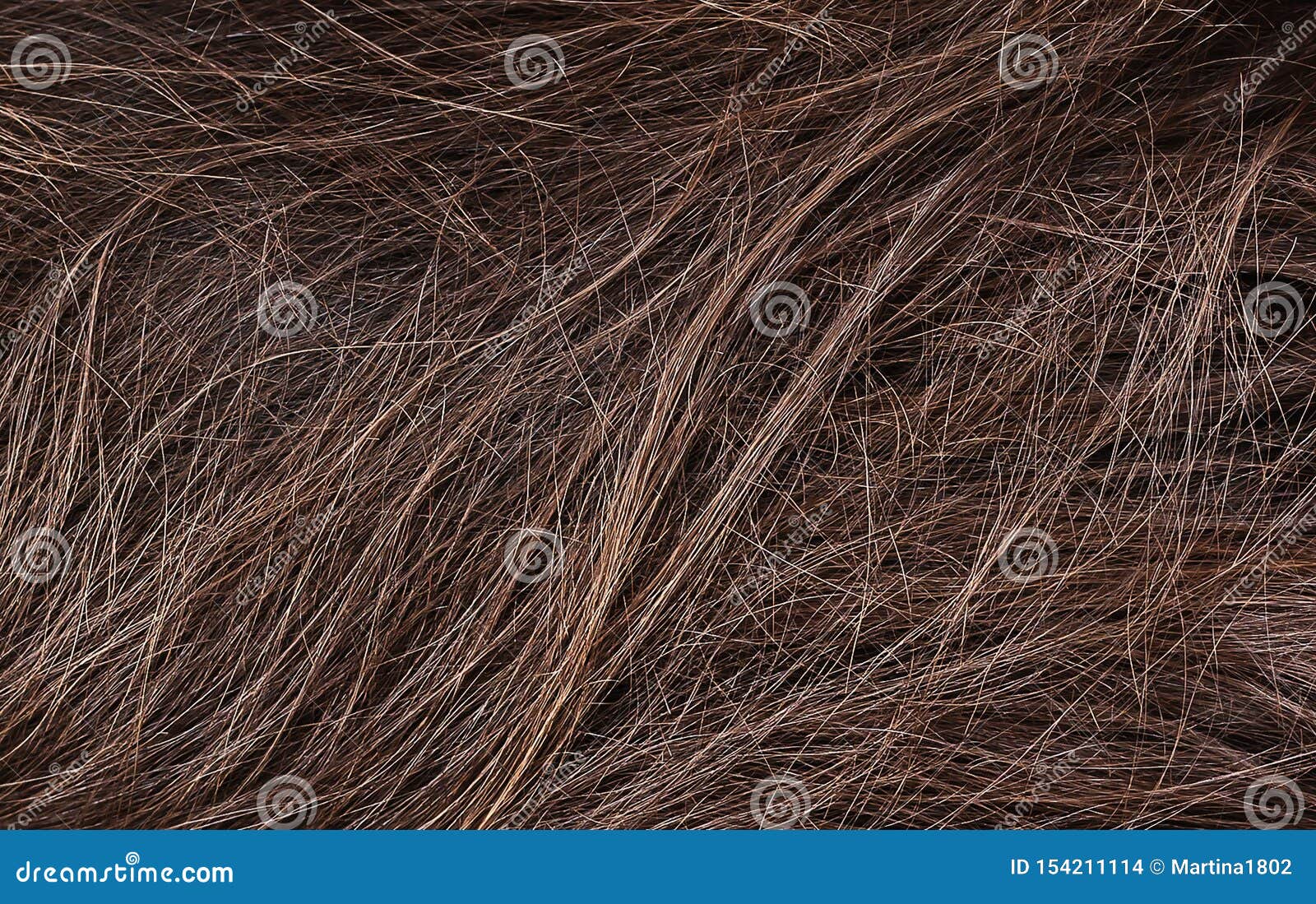 Texture dry hair stock photo. Image of yellow, blond - 154211114
