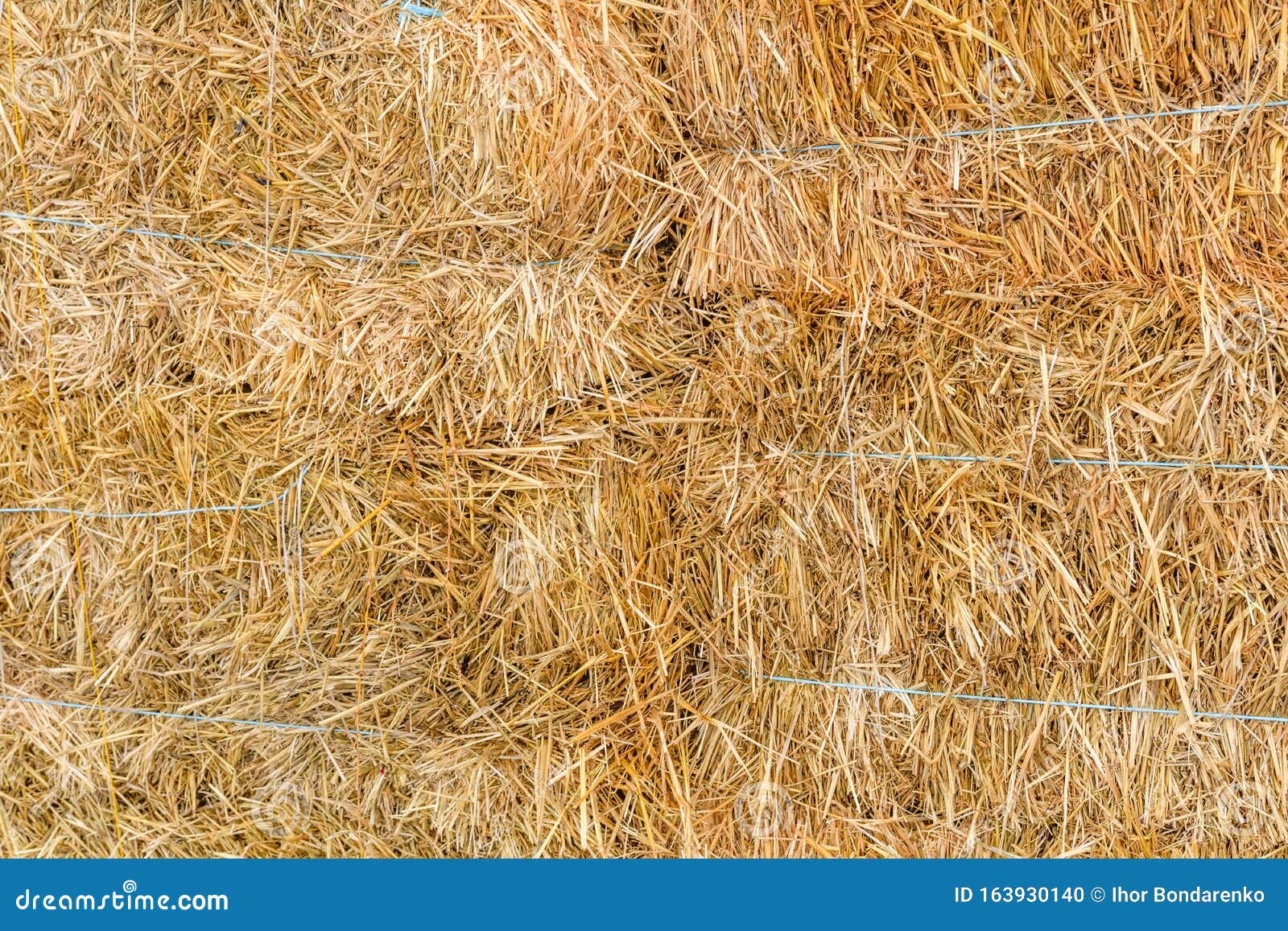 Texture of the Dry Hay for the Background Stock Photo - Image of ...