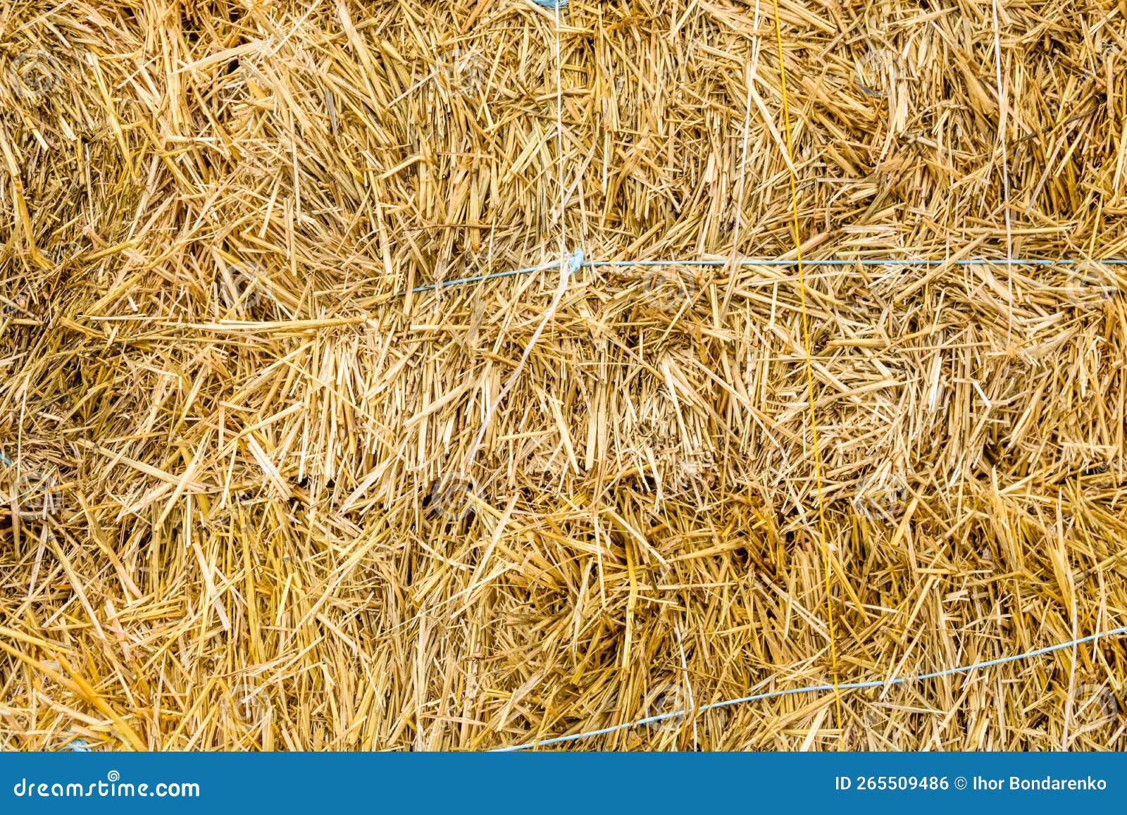 Texture of the Dry Hay for the Background Stock Photo - Image of bright ...