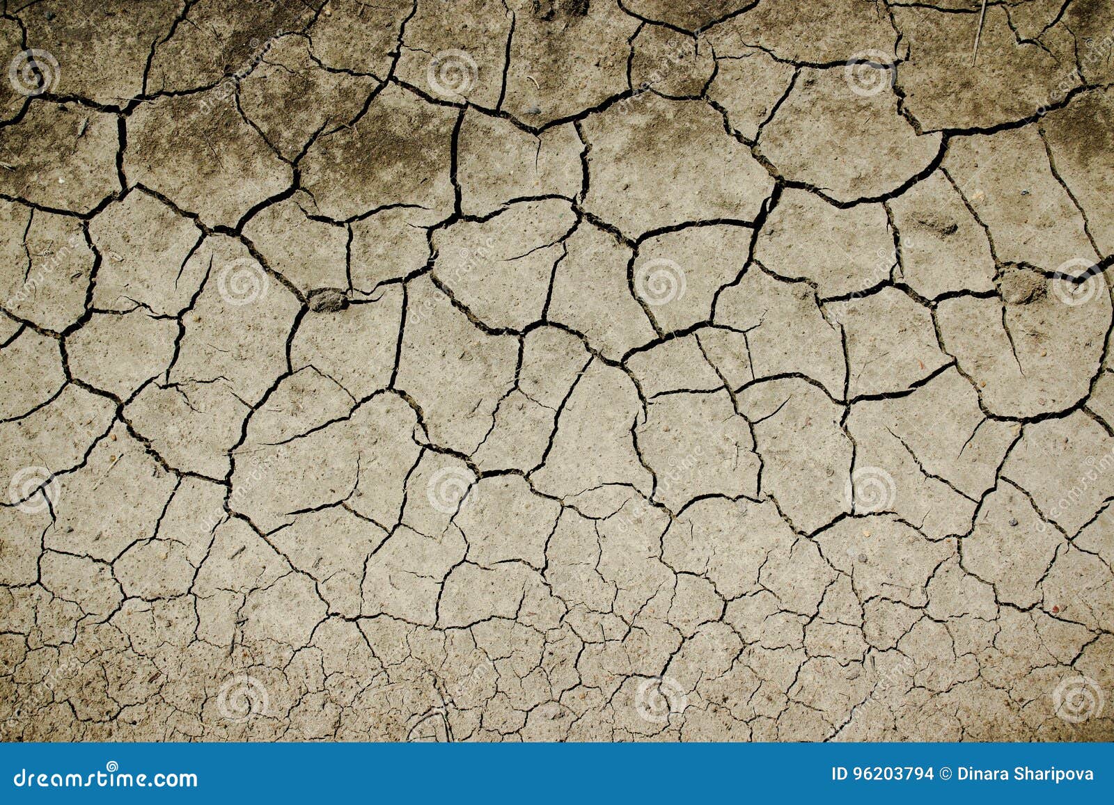 Texture of the Dry Land with Cracks in the Soil, Drought on the Ground ...