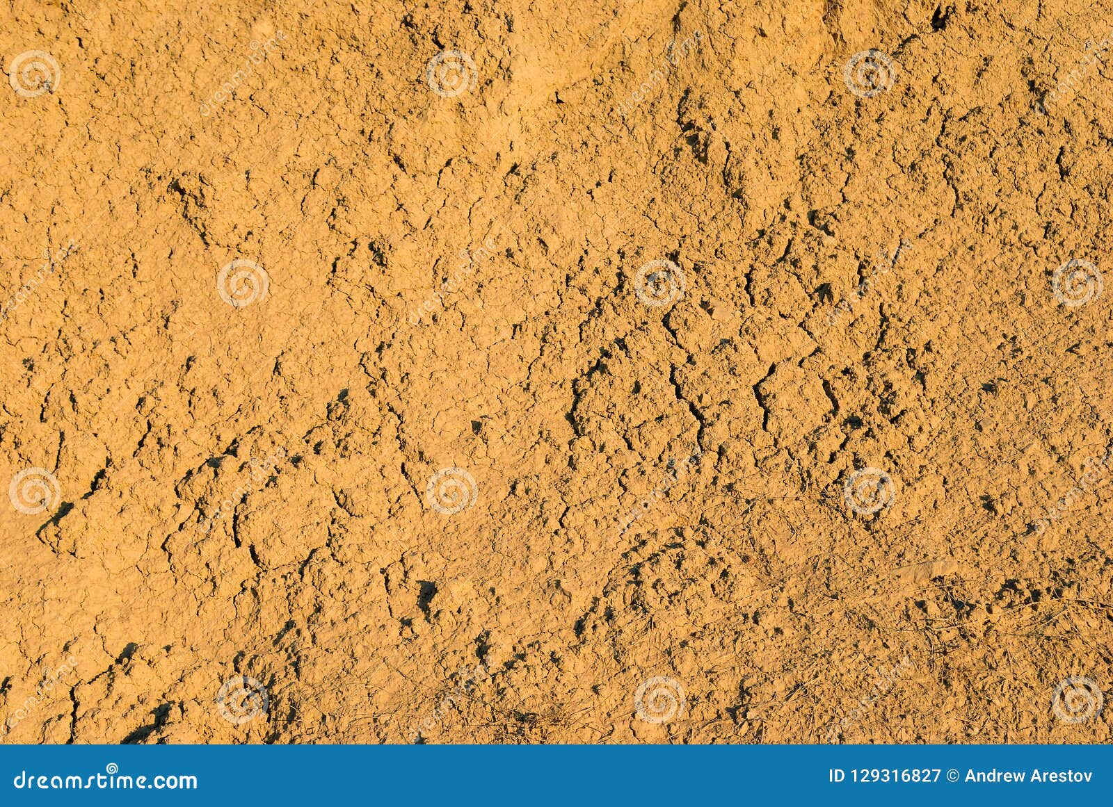 Texture of dry soil stock image. Image of soil, sprout - 129316827