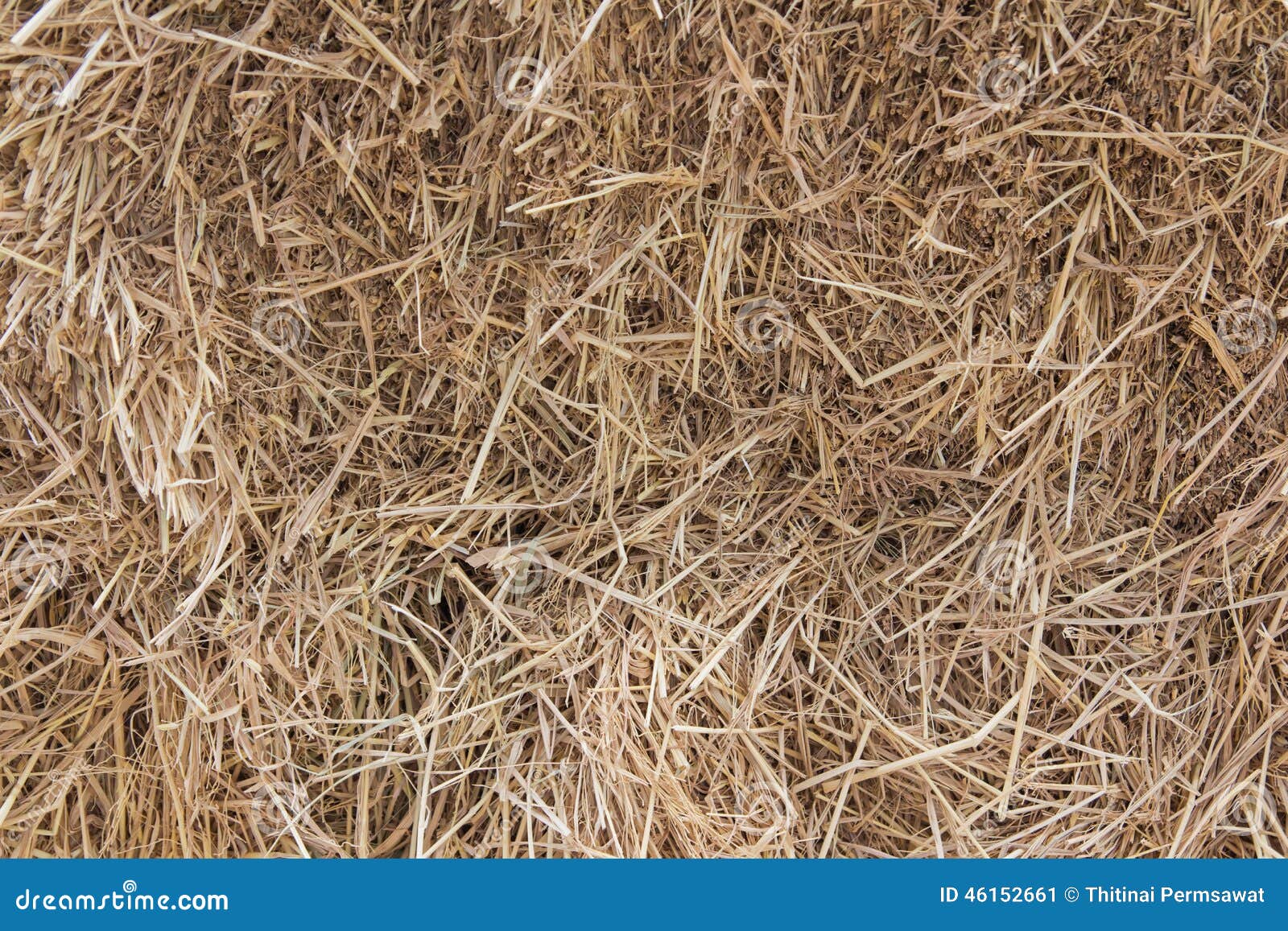 Texture of dry straw stock image. Image of bale, background - 46152661