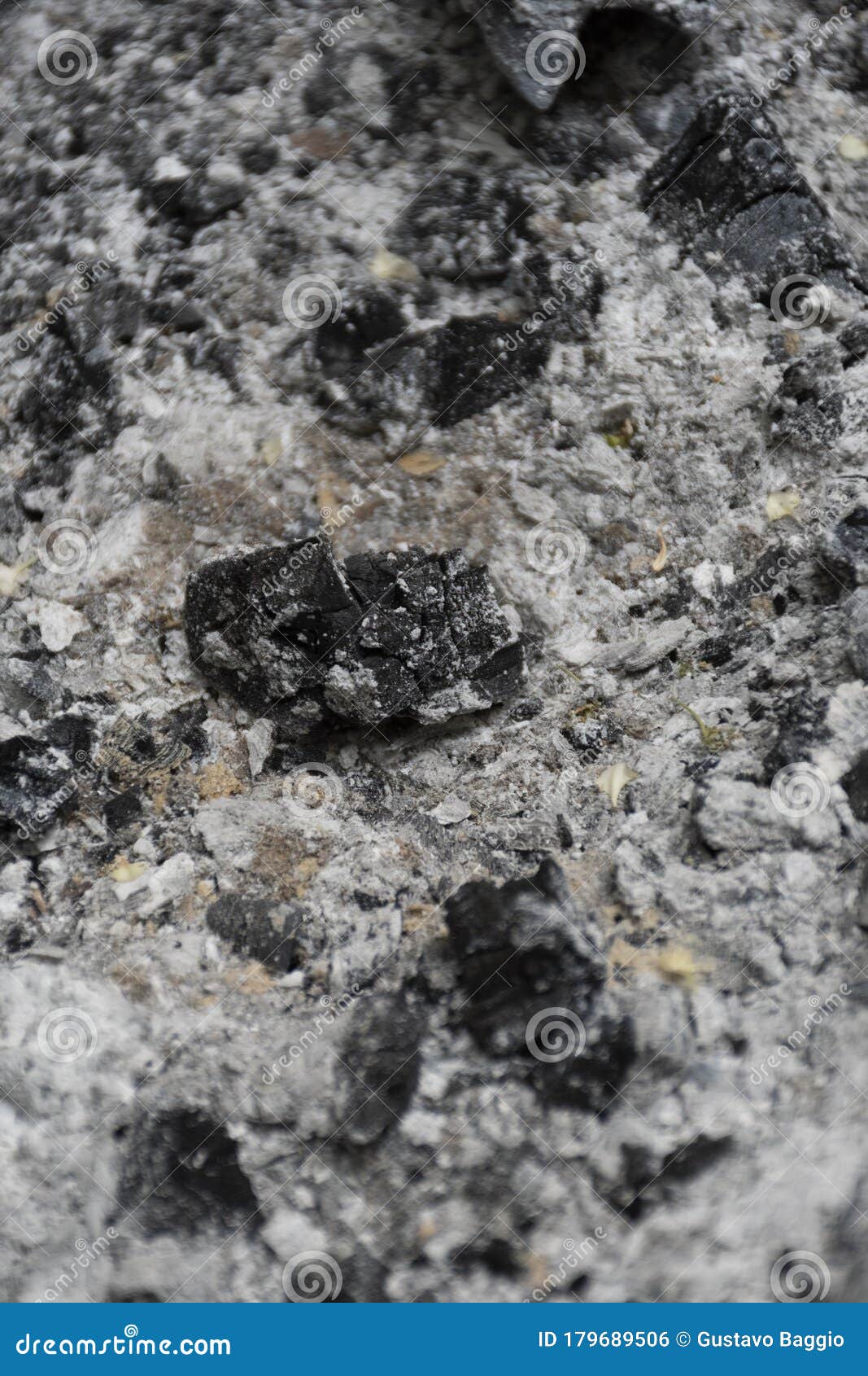 Texture Du Charbon Et Des Cendres Photo stock - Image du invertébré ...