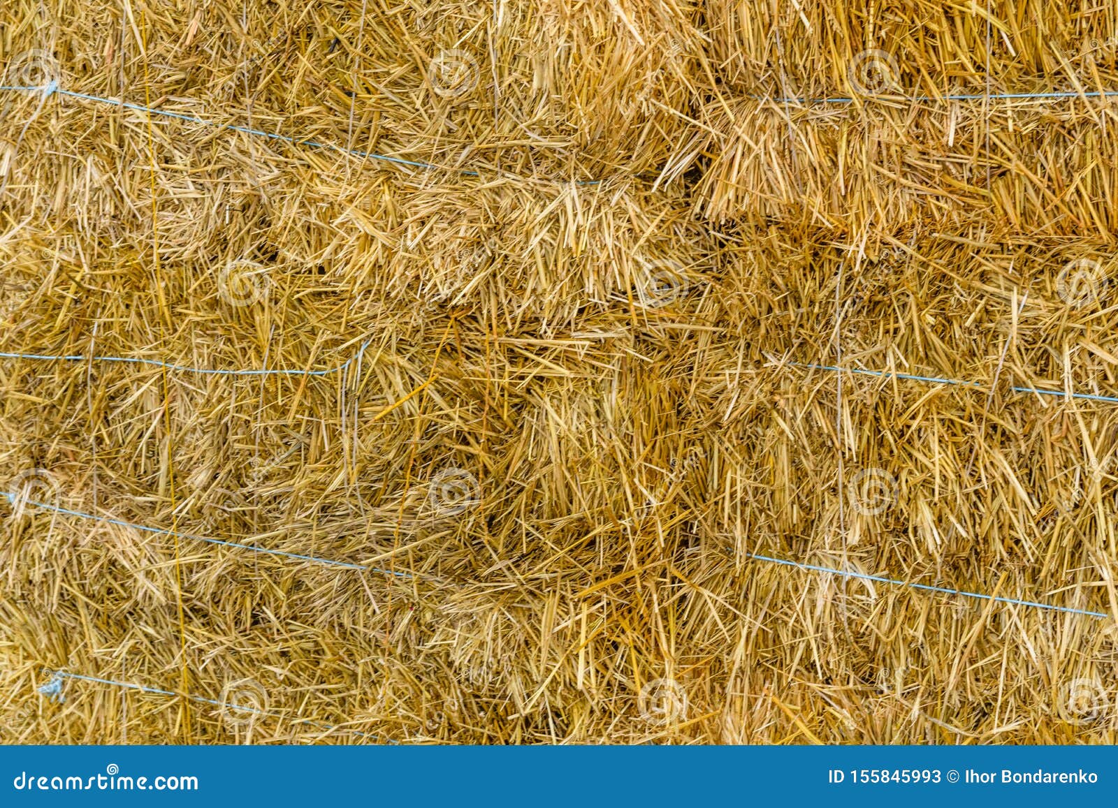 Texture Du Foin Sec Pour Le Fond Image stock - Image du détail ...