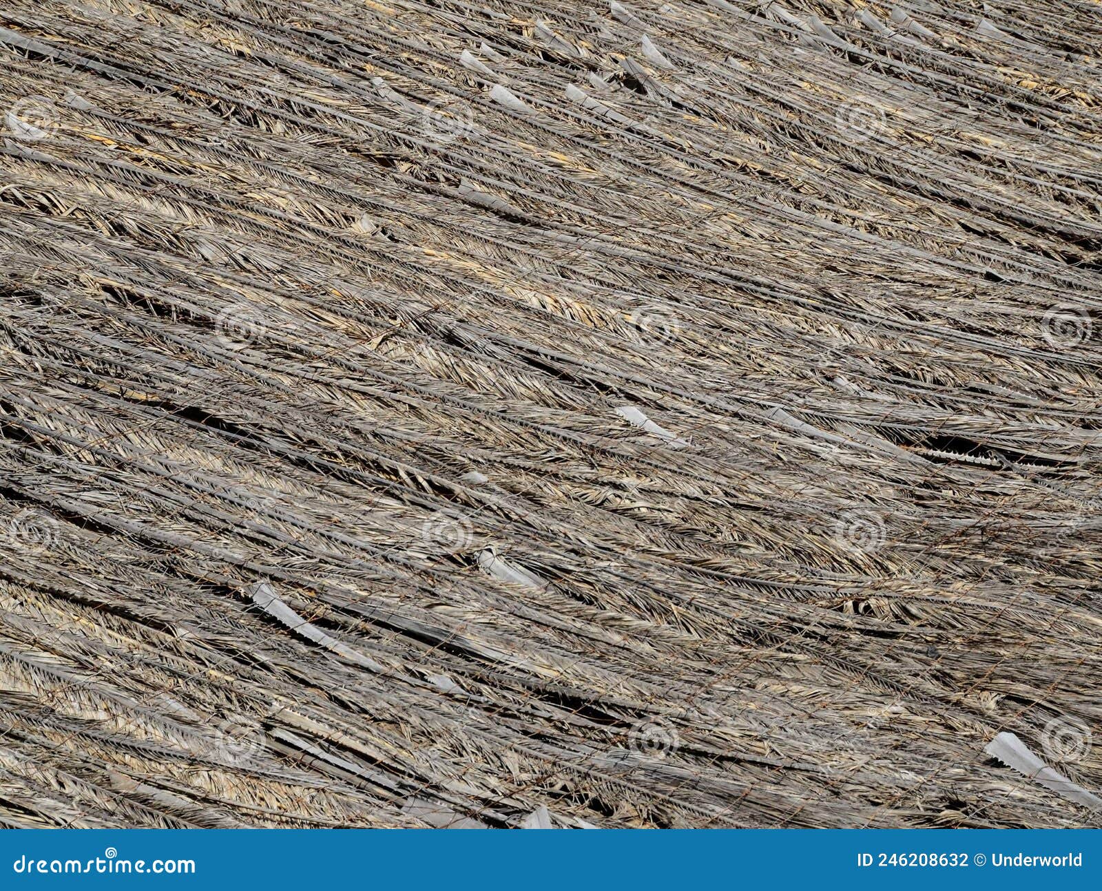 Texture Du Toit De Chaume Classique Photo stock - Image du maison, toit ...