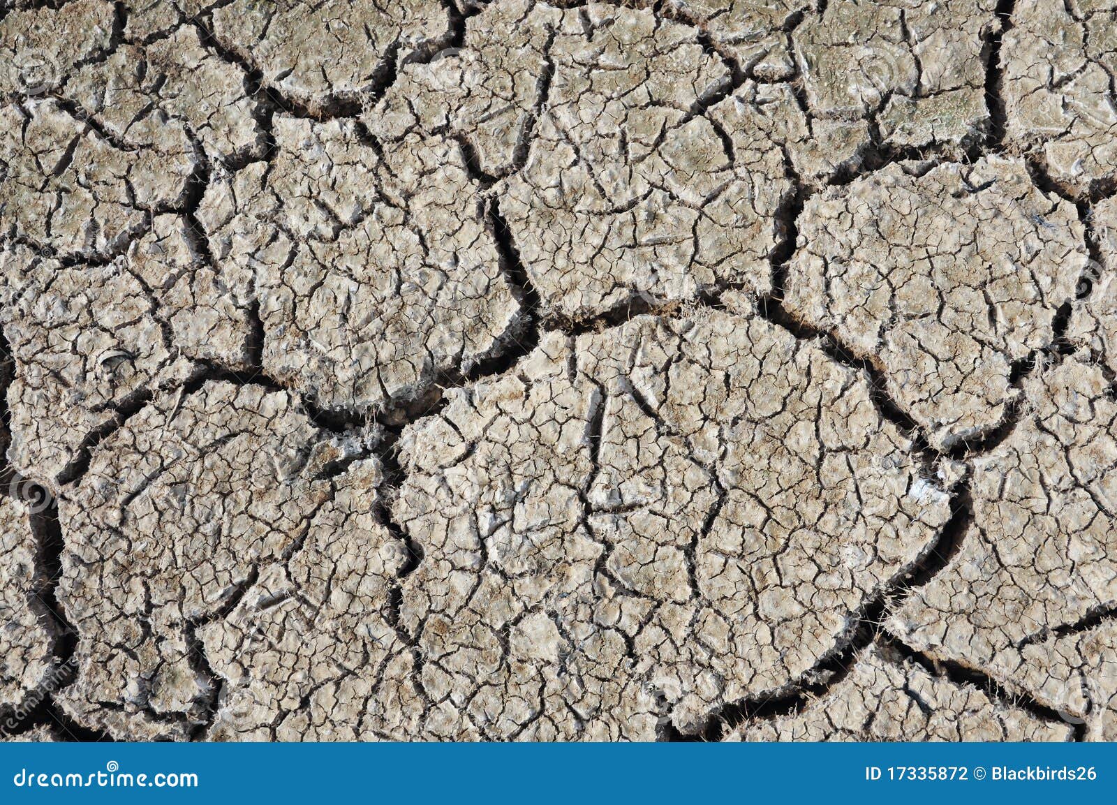 Texture Of Earth stock photo. Image of dirt, split, arid - 17335872