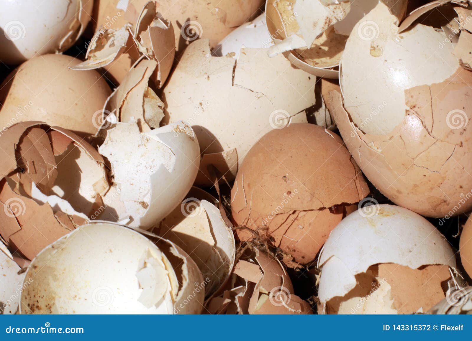 Texture of an egg shell. stock photo. Image of backdrop - 143315372
