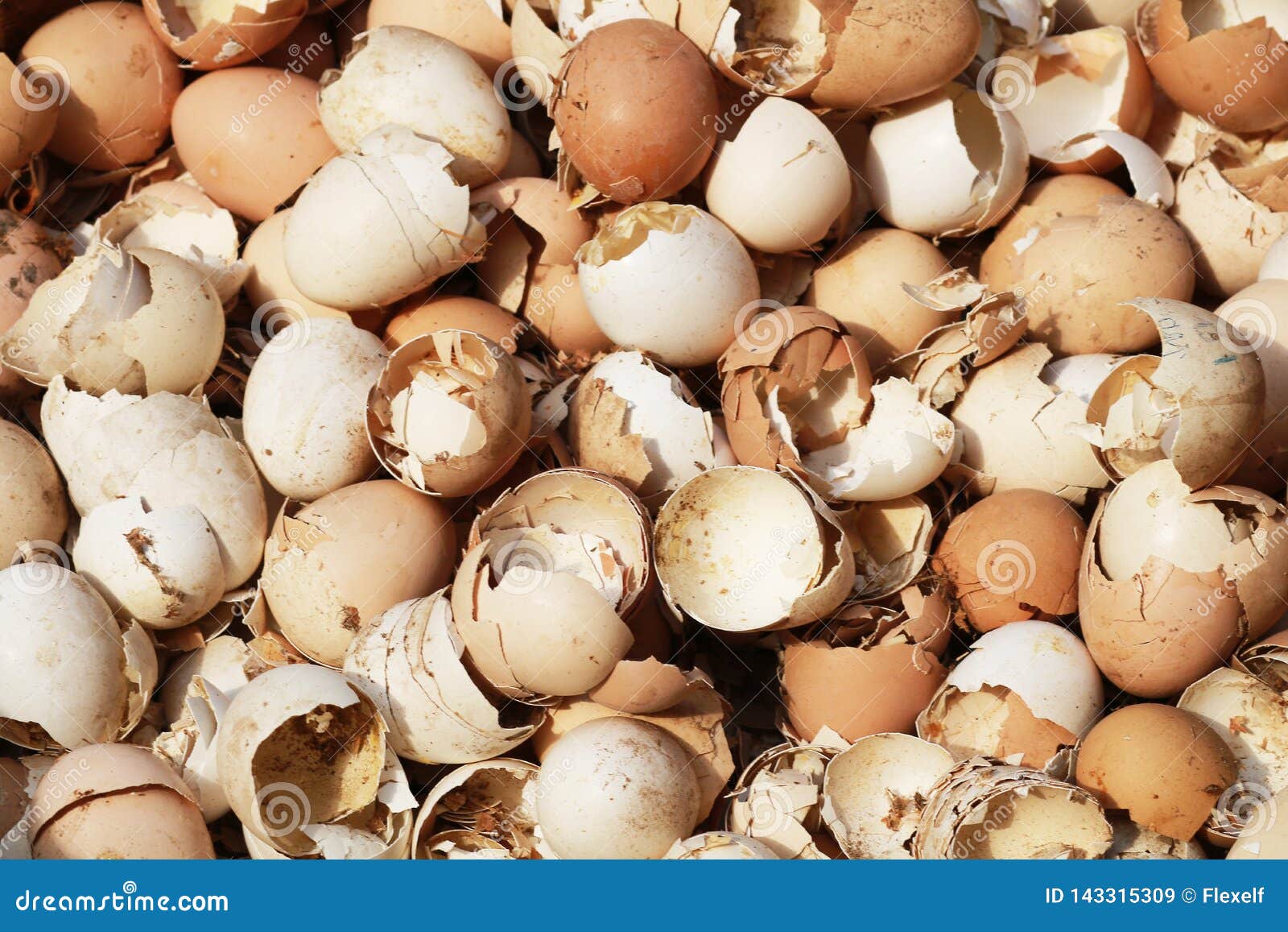 Texture of an egg shell. stock image. Image of garbage - 143315309