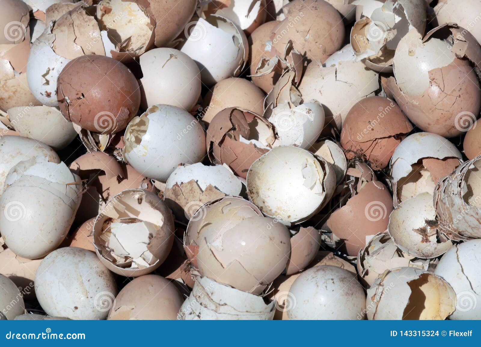 Texture of an egg shell. stock photo. Image of stain - 143315324