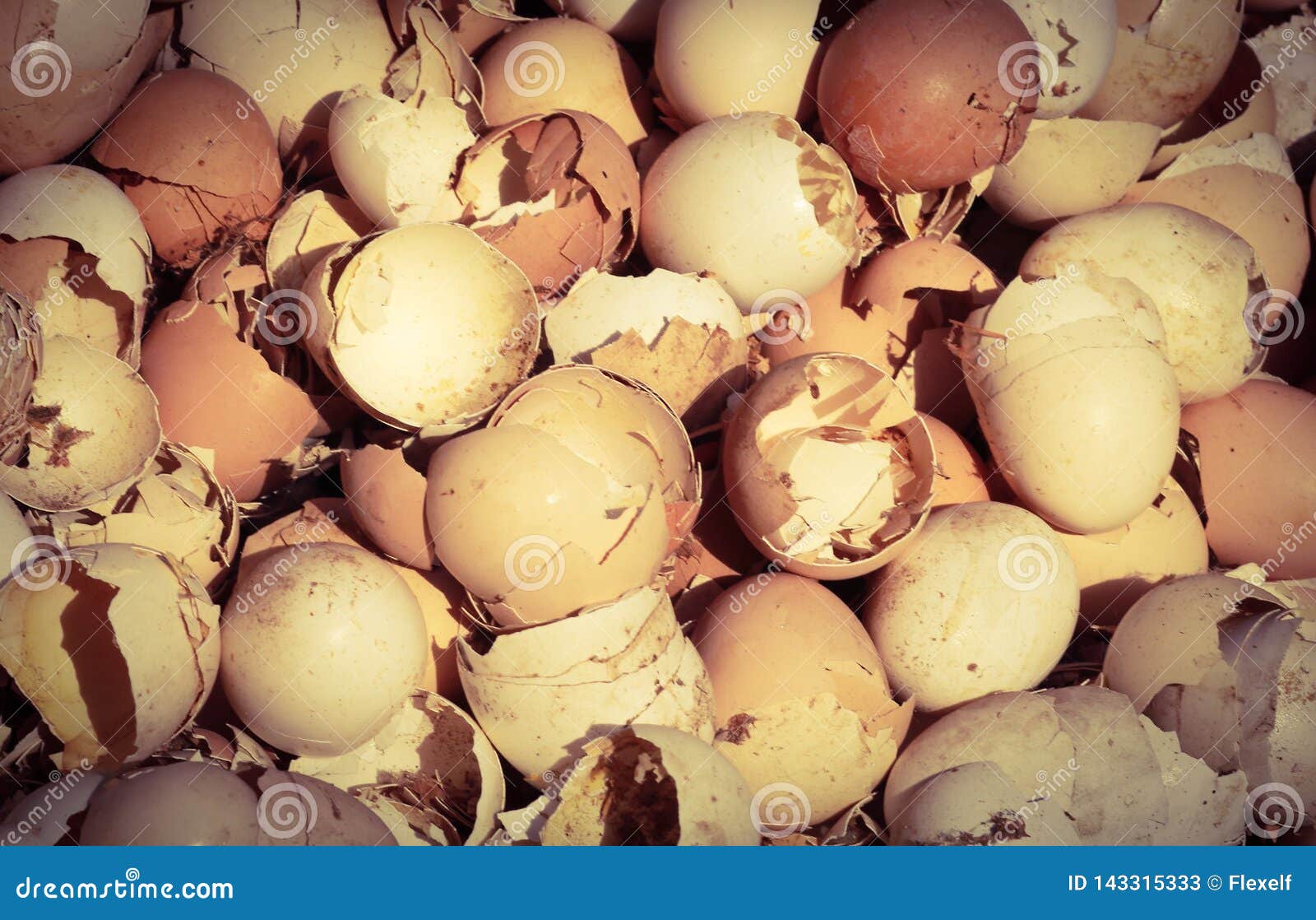 Texture of an egg shell. stock image. Image of farm - 143315333