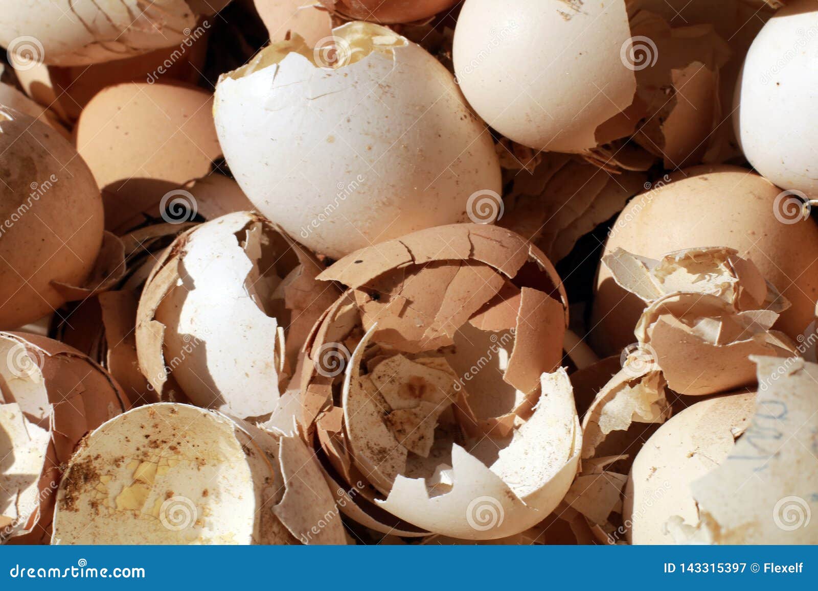 Texture of an egg shell. stock image. Image of dirty - 143315397