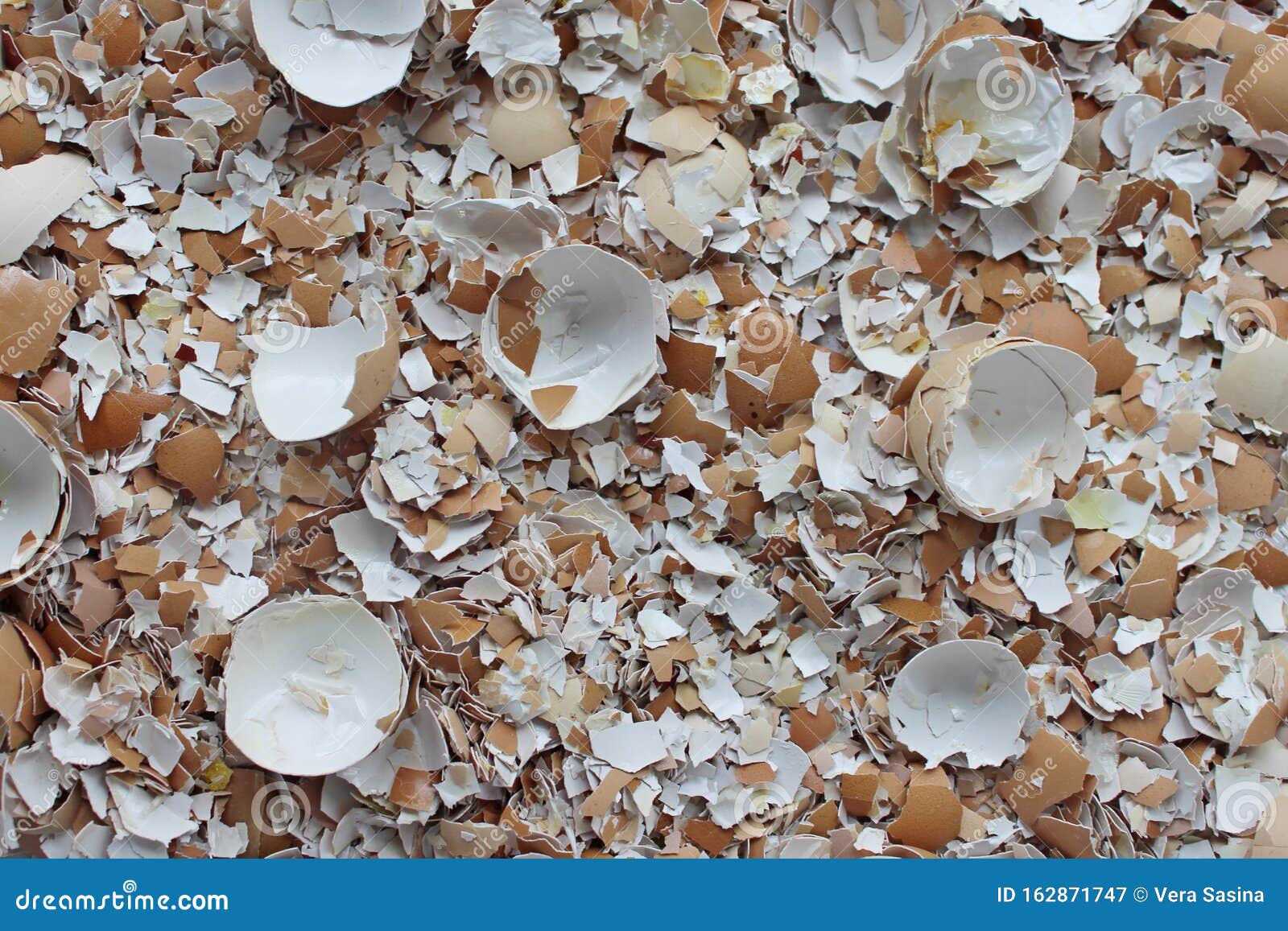 A Lot of Pieces Broken Eggshell Background Stock Image - Image of ...