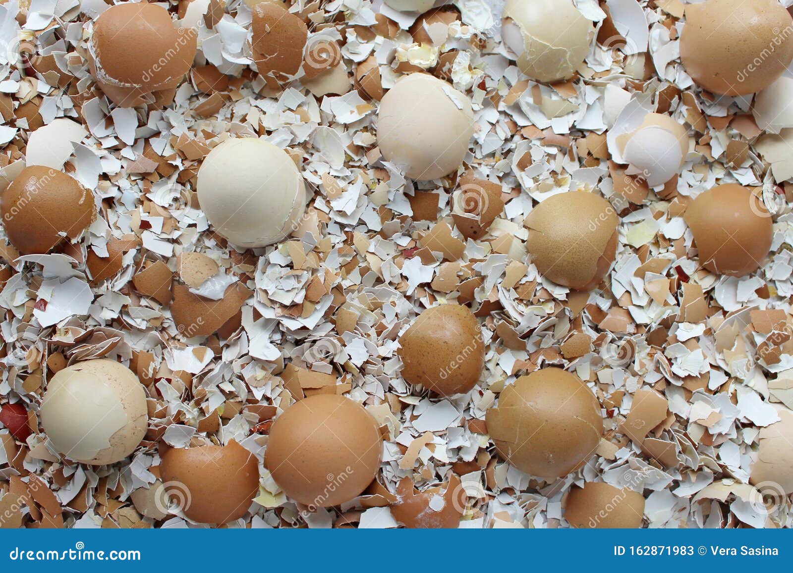 A Lot of Pieces Broken Eggshell Background Stock Image - Image of ...