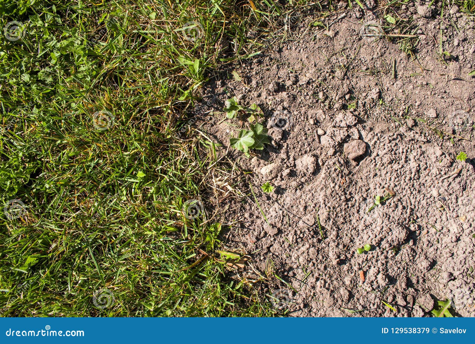 Texture of Empty Soil and Grass from Above Stock Image - Image of grass ...