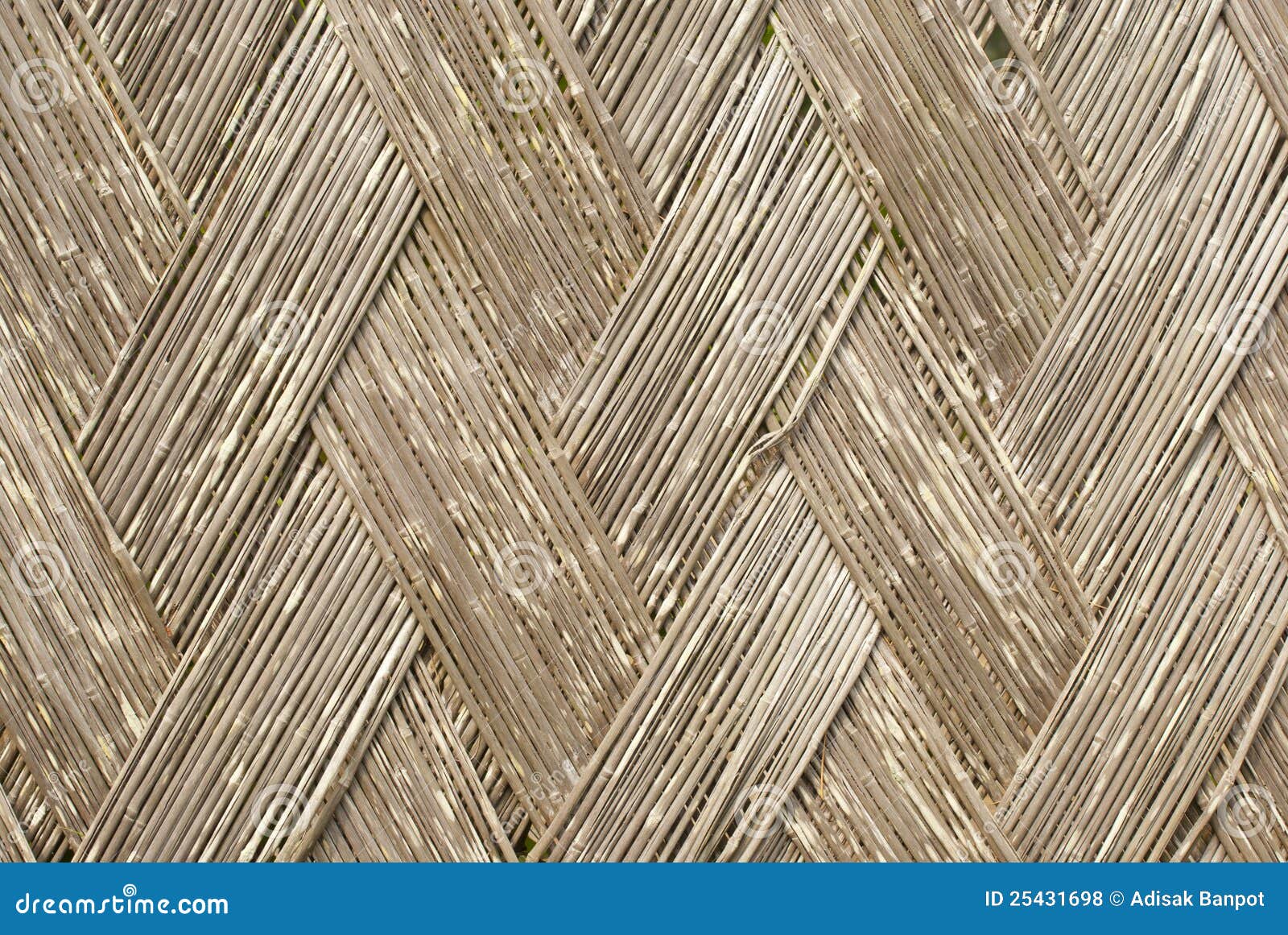 Texture En Bambou Japonaise Photo Stock Image Du Architecture Jungle