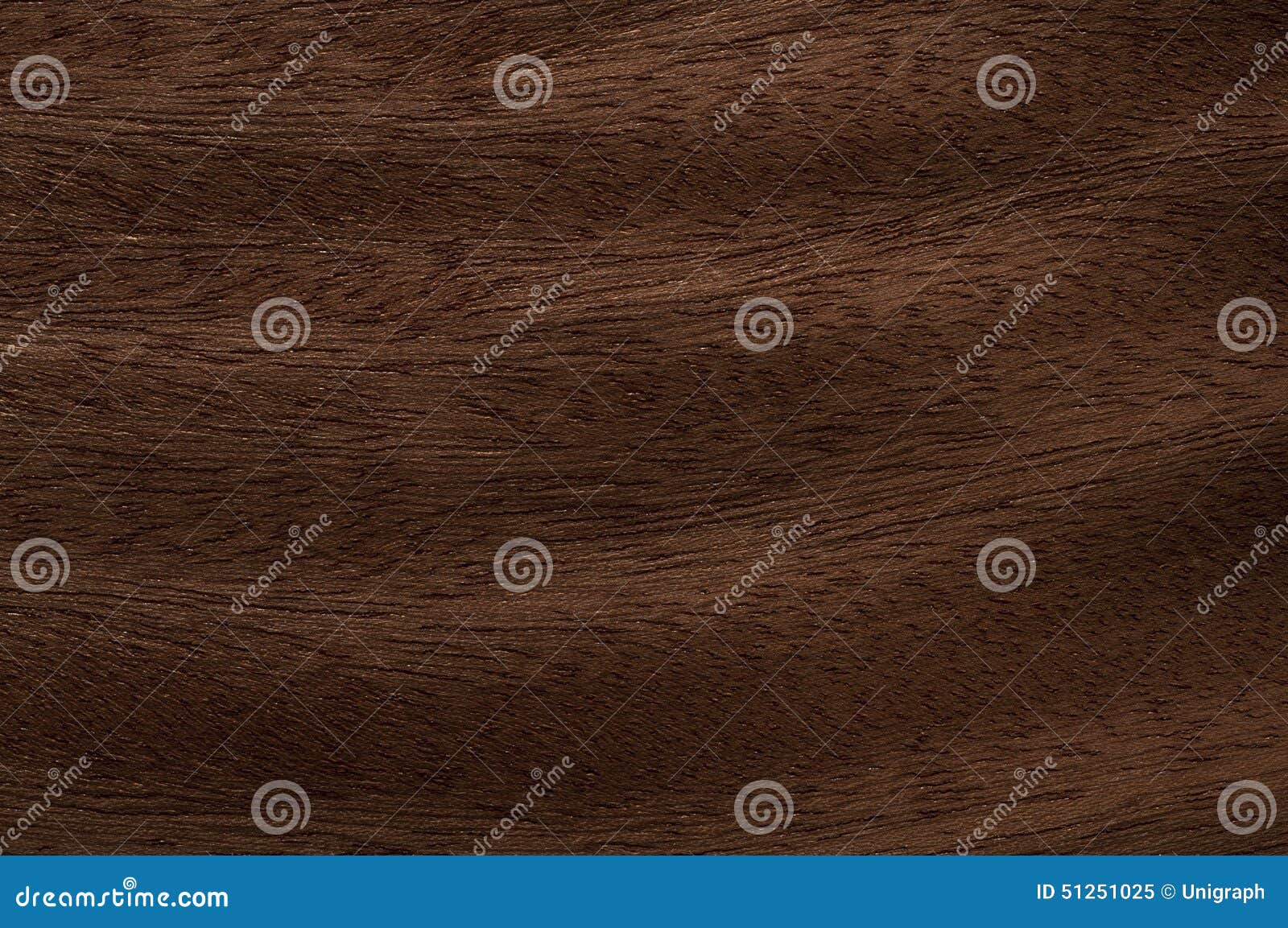 Texture en bois d'acajou image stock. Image du acajou - 51251025