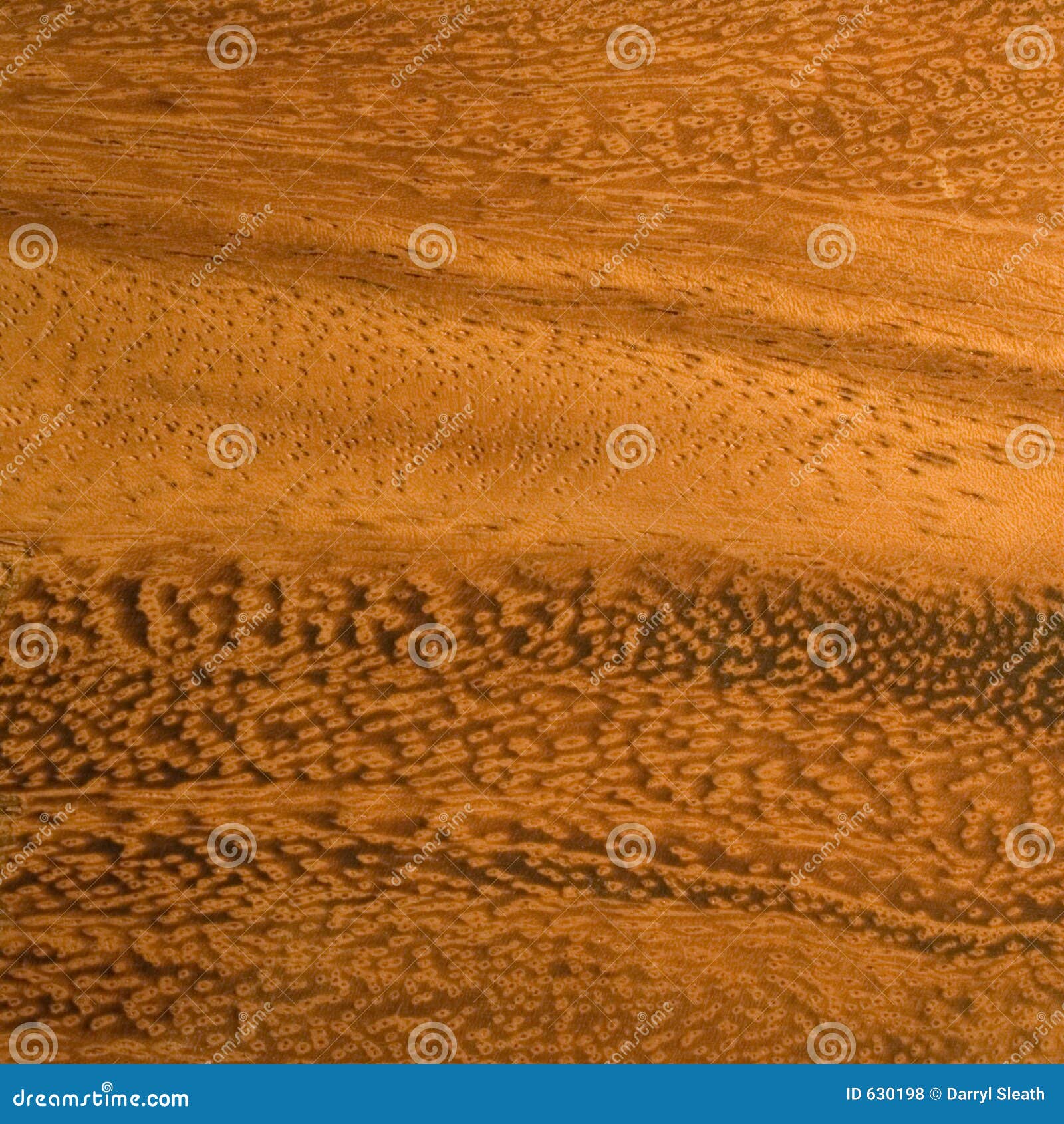 Texture en bois d'acajou photo stock. Image du bois, déboisement - 630198