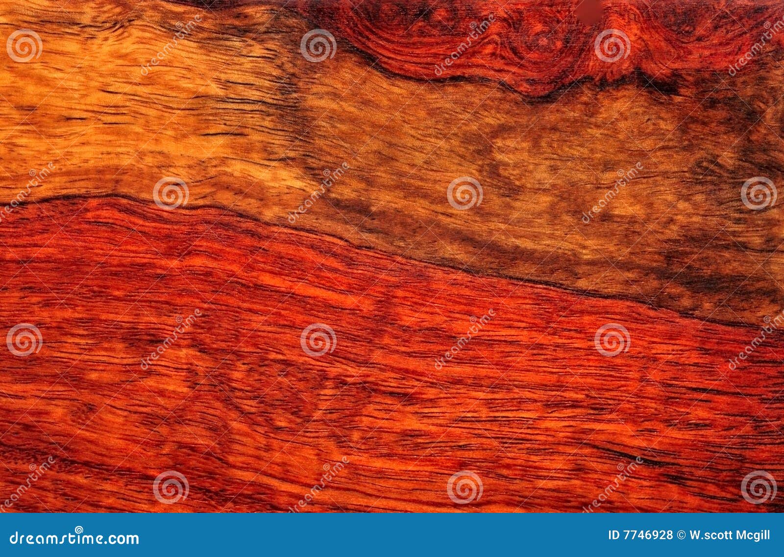 Texture en bois d'acajou photo stock. Image du bois, configuration ...