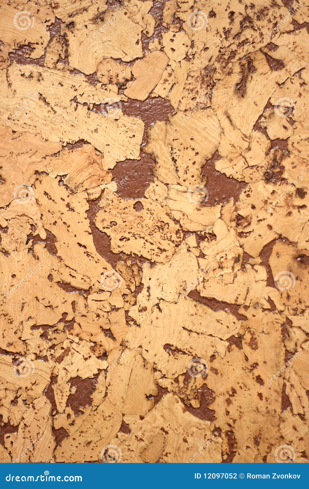Texture en bois de liège photo stock. Image du texture - 12097052