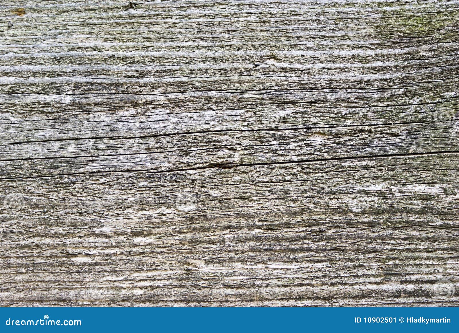 Texture en bois de planche image stock. Image du conception - 10902501