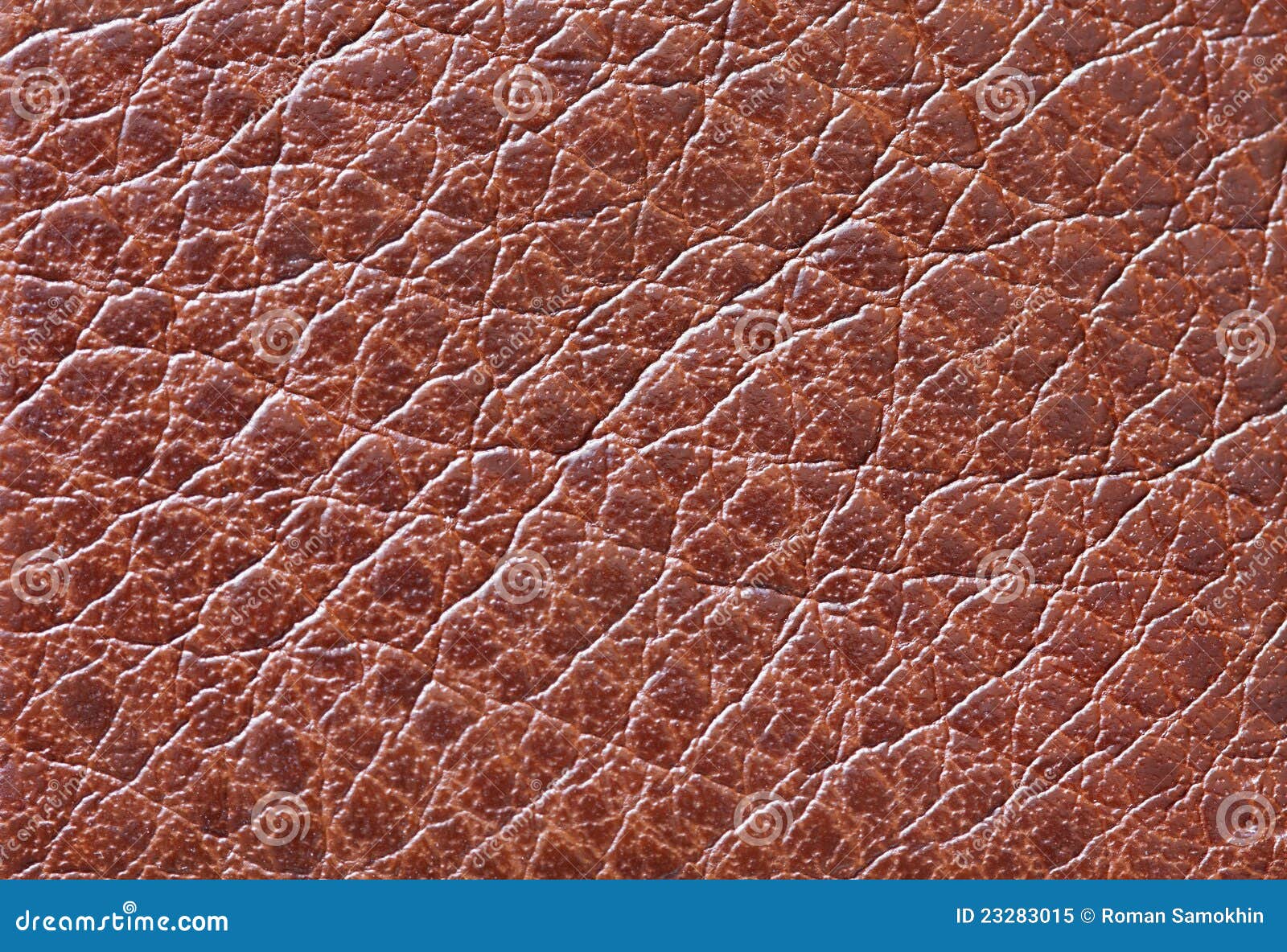 Texture en cuir de Brown image stock. Image du peau, rugueux - 23283015